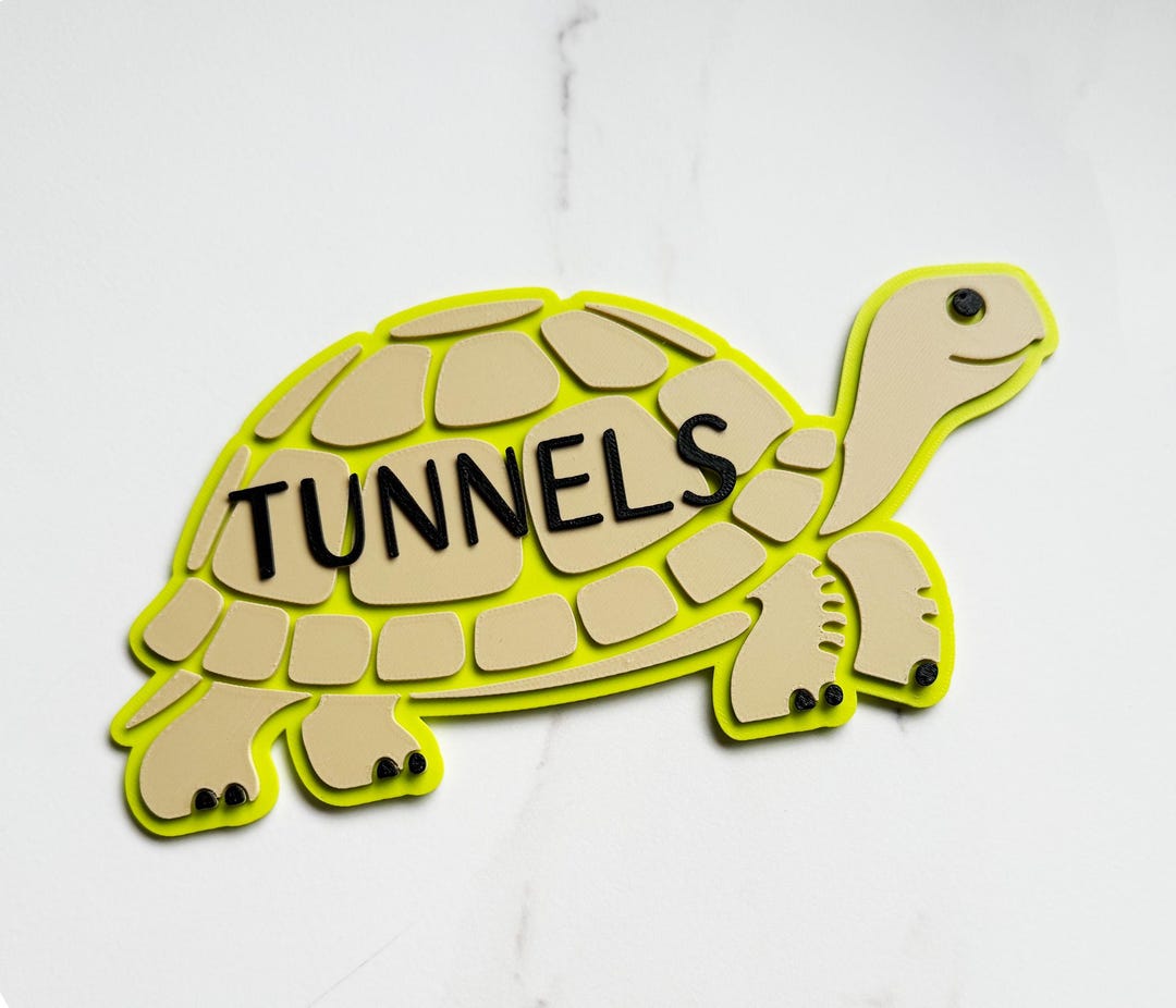 Personalised Tortoise Name Sign, Name Plaque, Tortoise House Sign - Etsy