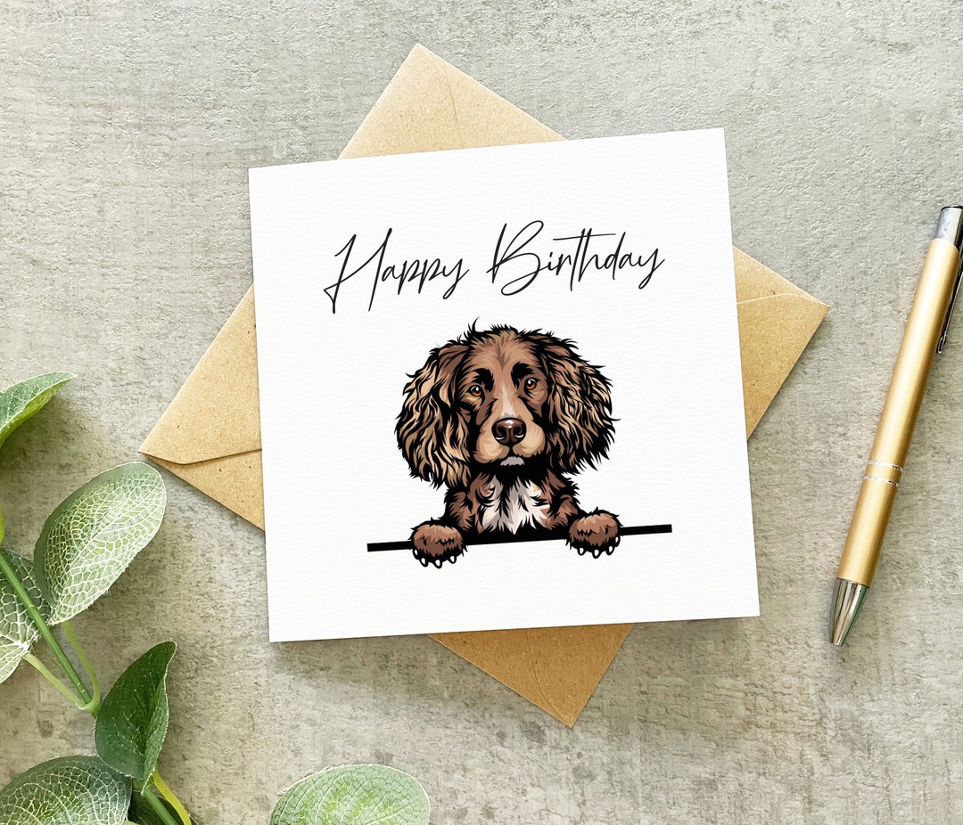 Chocolate Spaniel Birthday Card, Working Cocker Spaniel Card, Sprocker ...