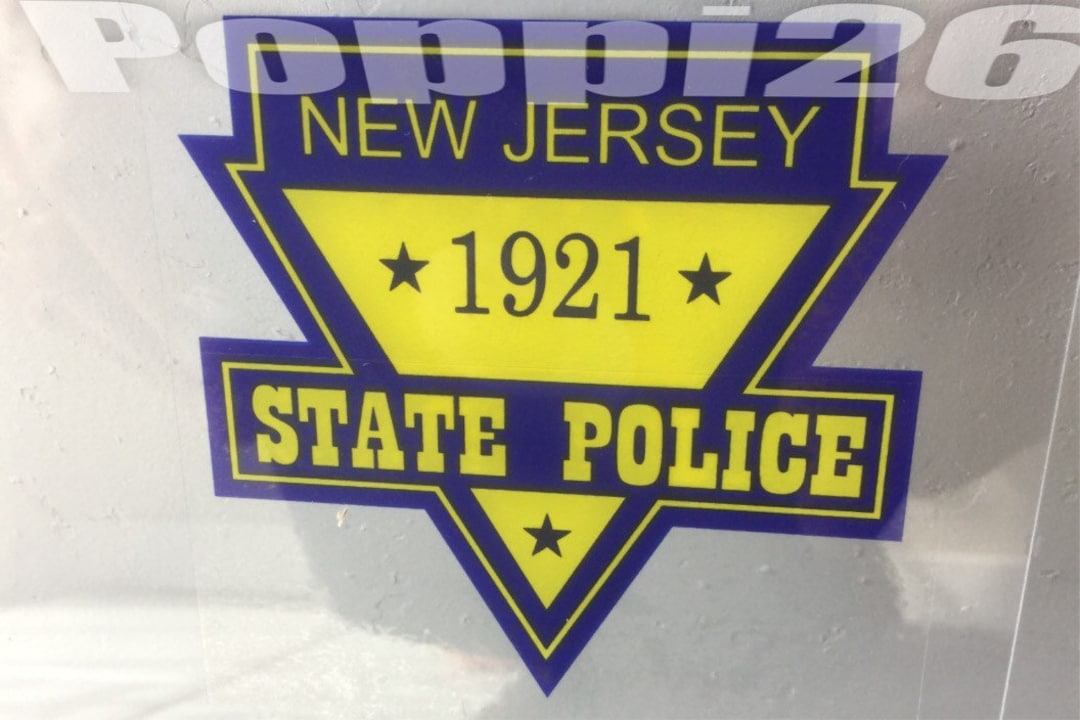 NJ NJSP New Jersey OFFICIAL State Police (inside Window/faces Outside ...