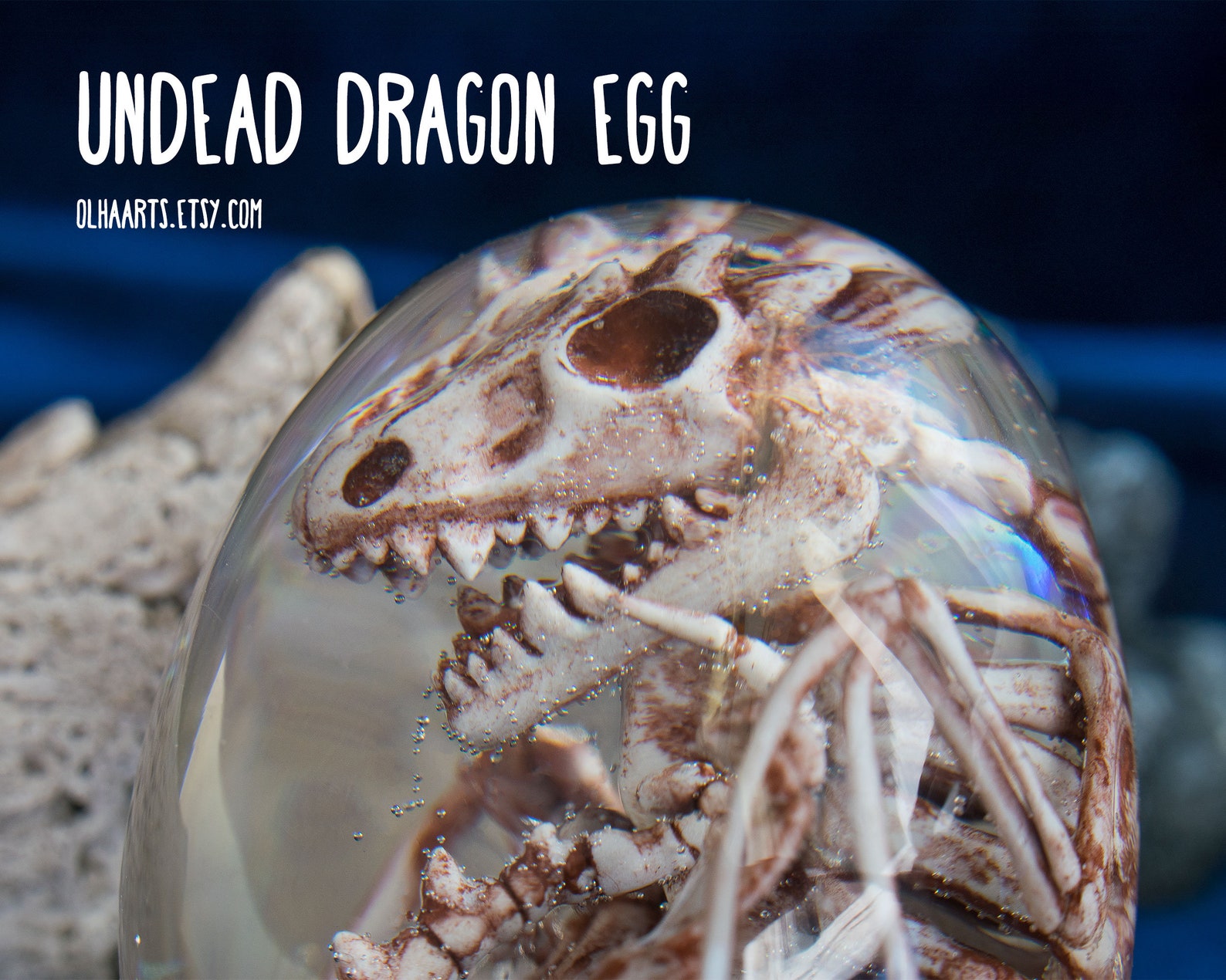 Skeleton Dragon Embryo in Transparent Epoxy Resin Egg VIP | Etsy