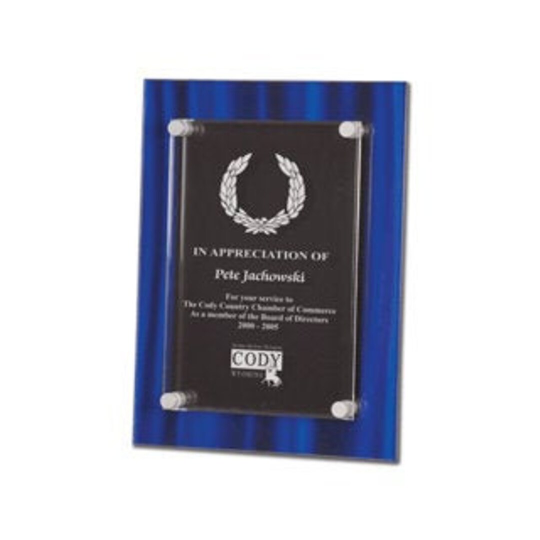 Personalized 8x10 Blue Stand off Acrylic Plaque Office Awards Business ...