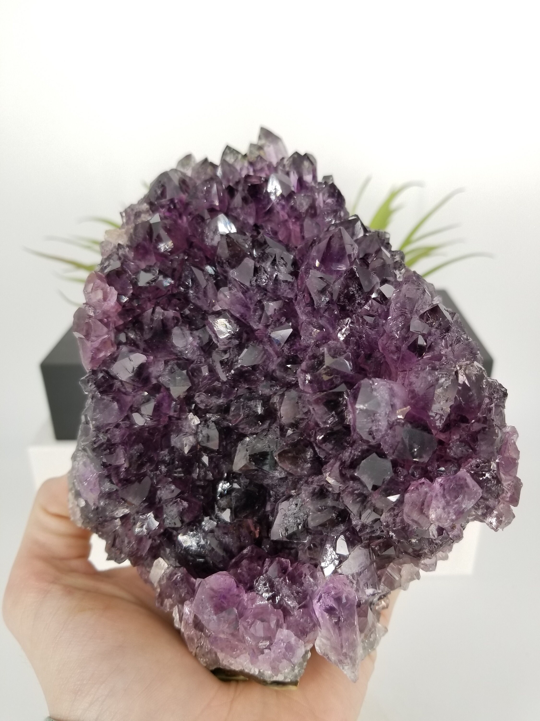 New Finds. 6.5" AA Quality Smokey Amethyst Rosette Cluster Formation W ...
