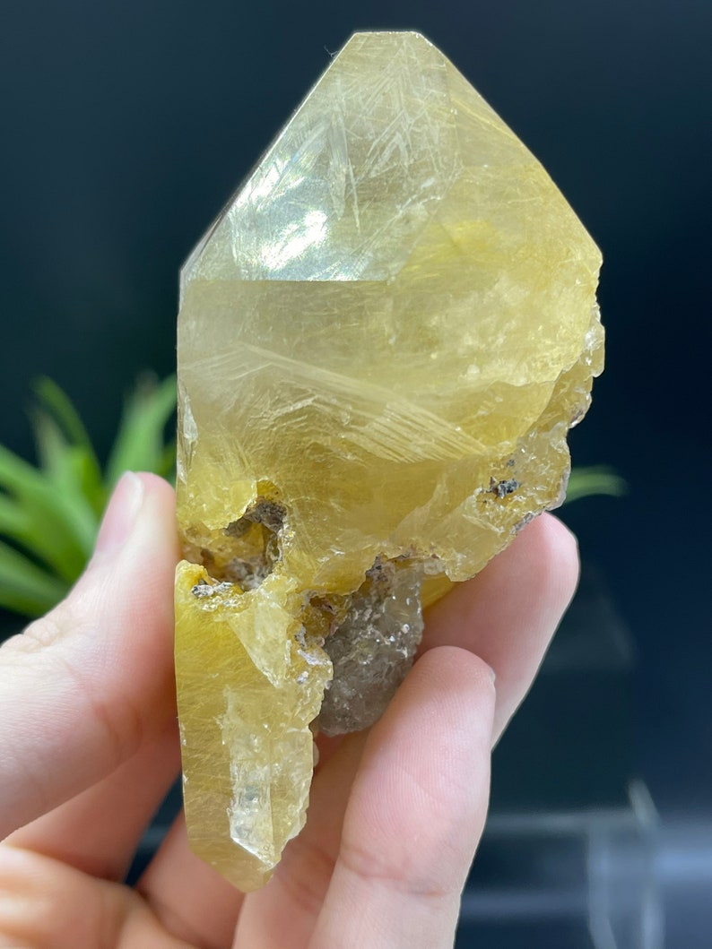Rare, World Class 3.5" Quartz Infused W/ Vibrant Rutile & Spectacular ...