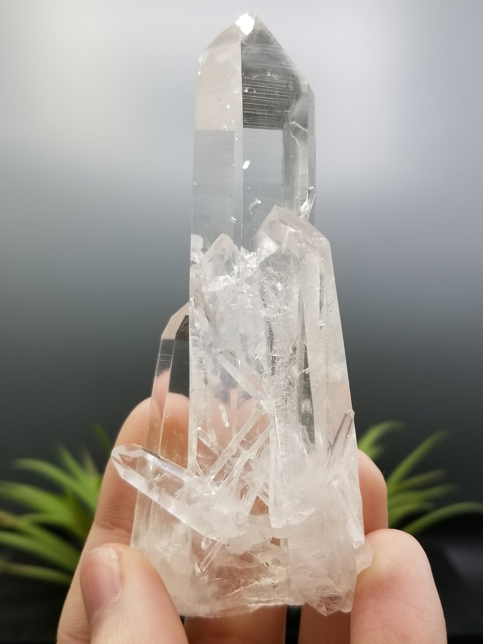 World Class 4 Optical Quartz Formation From Penas | Etsy