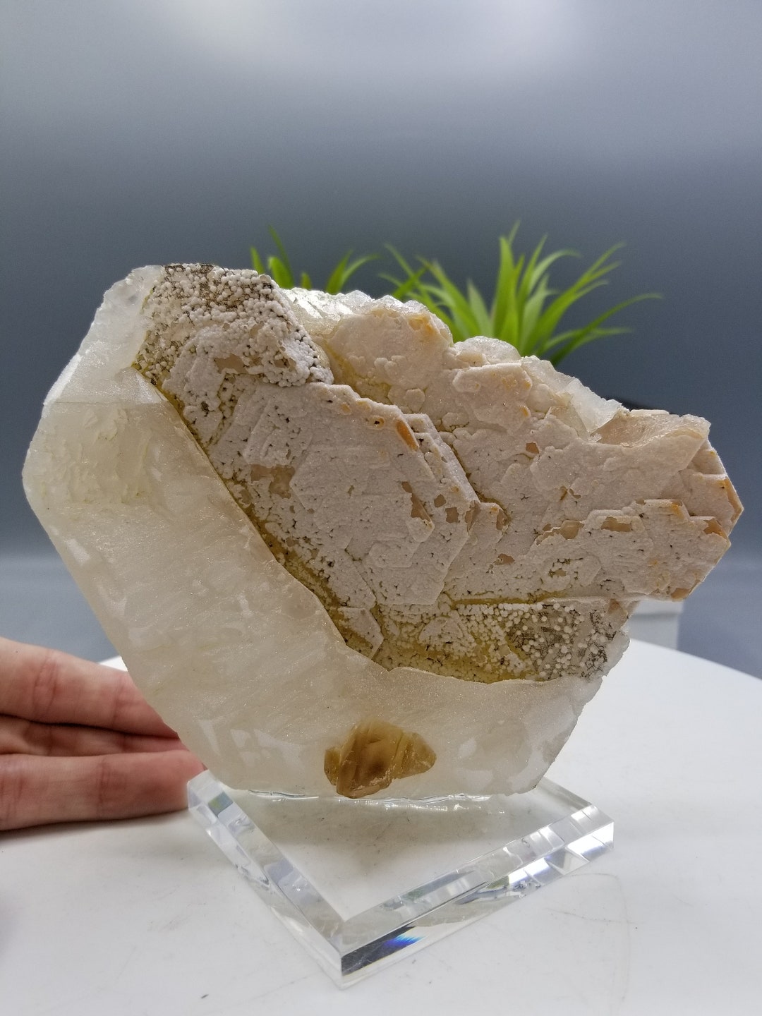 Unreal 6.5 Alien Calcite Formation W/ Terminated Calcite Features ...