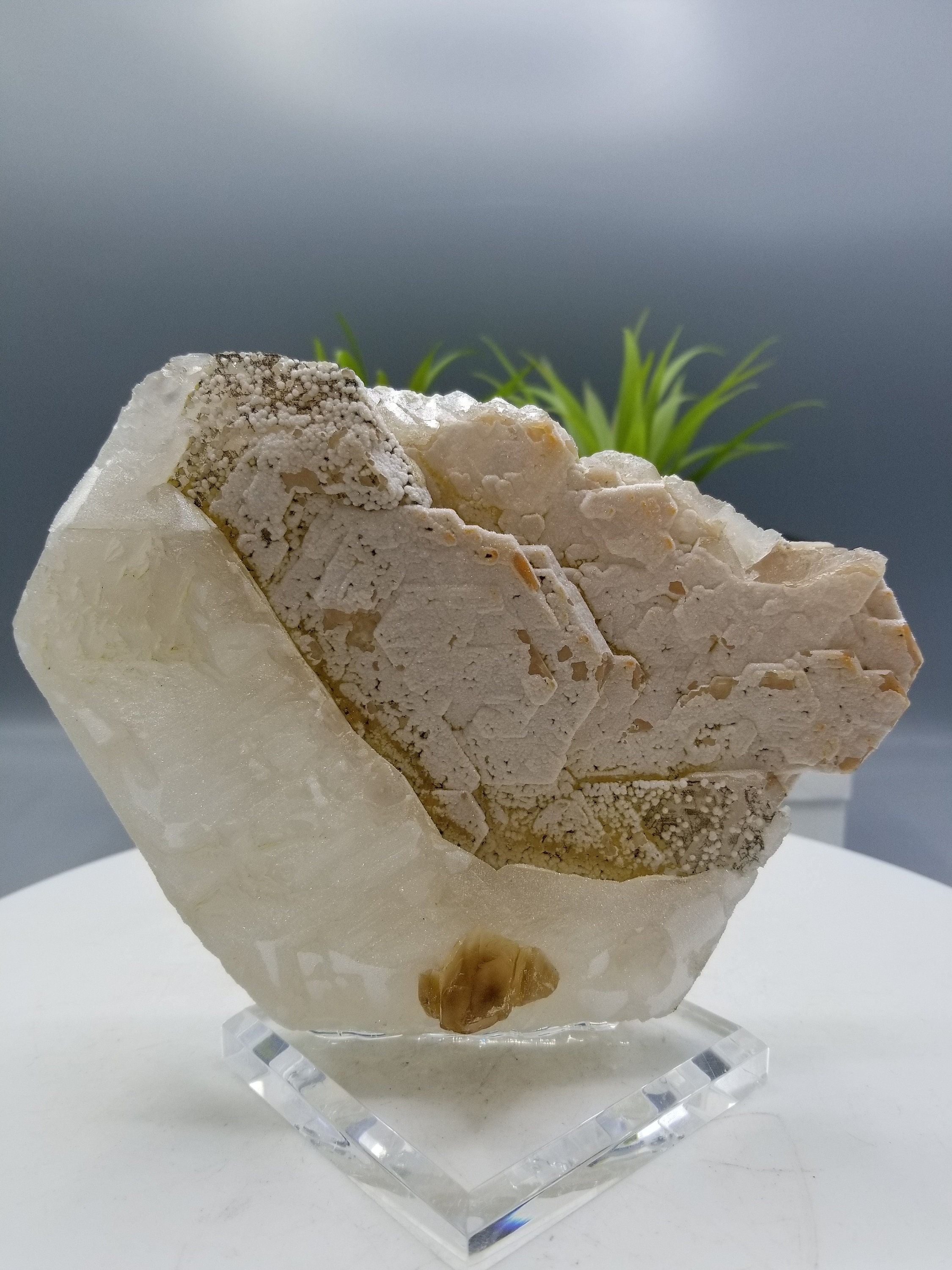 Unreal 6.5 Alien Calcite Formation w/ Terminated Calcite | Etsy