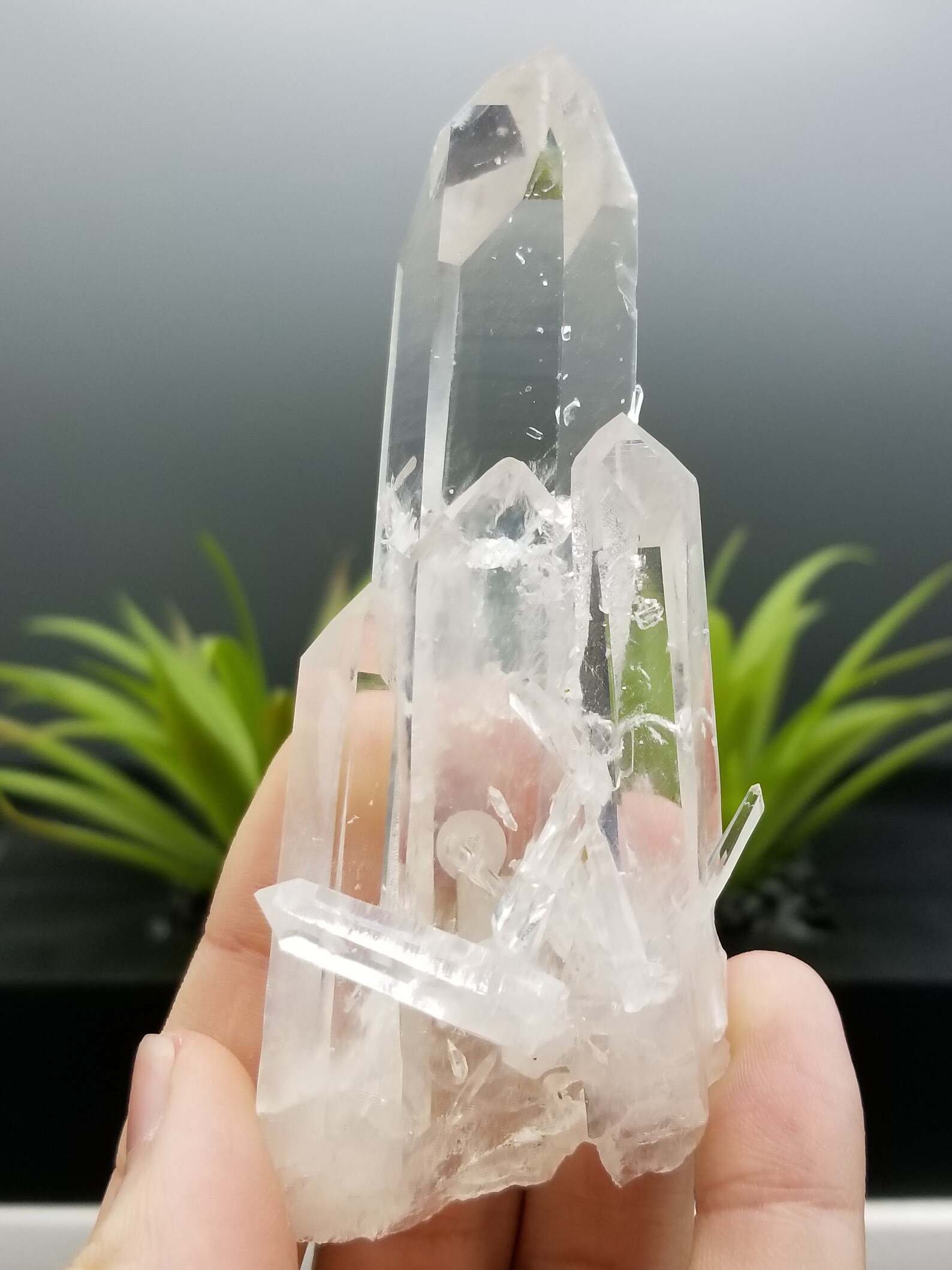 World Class 4 Optical Quartz Formation From Penas - Etsy