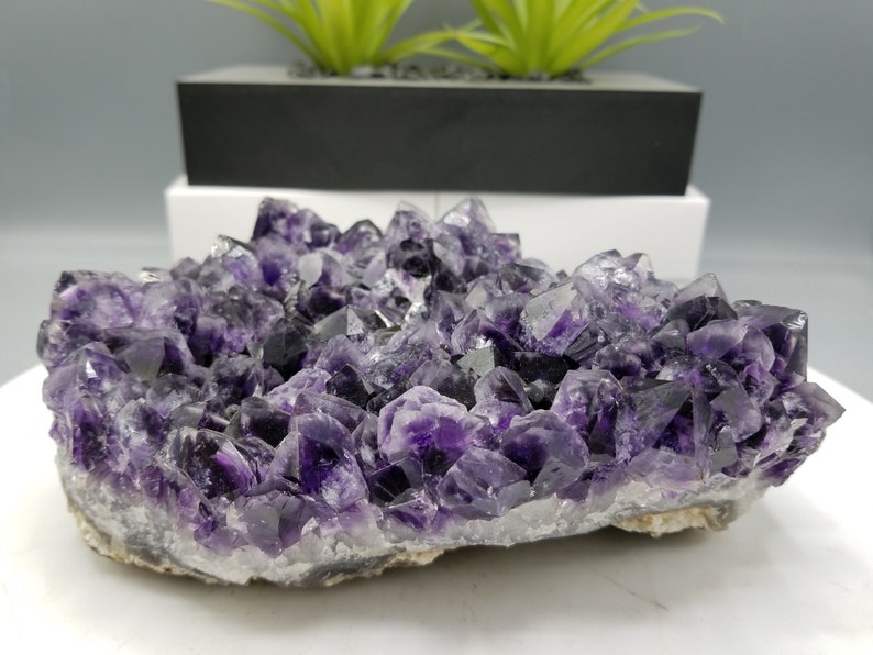 XL 6.5", Extra AA Quality Amethyst Cluster Formation W/ Epic Features ...