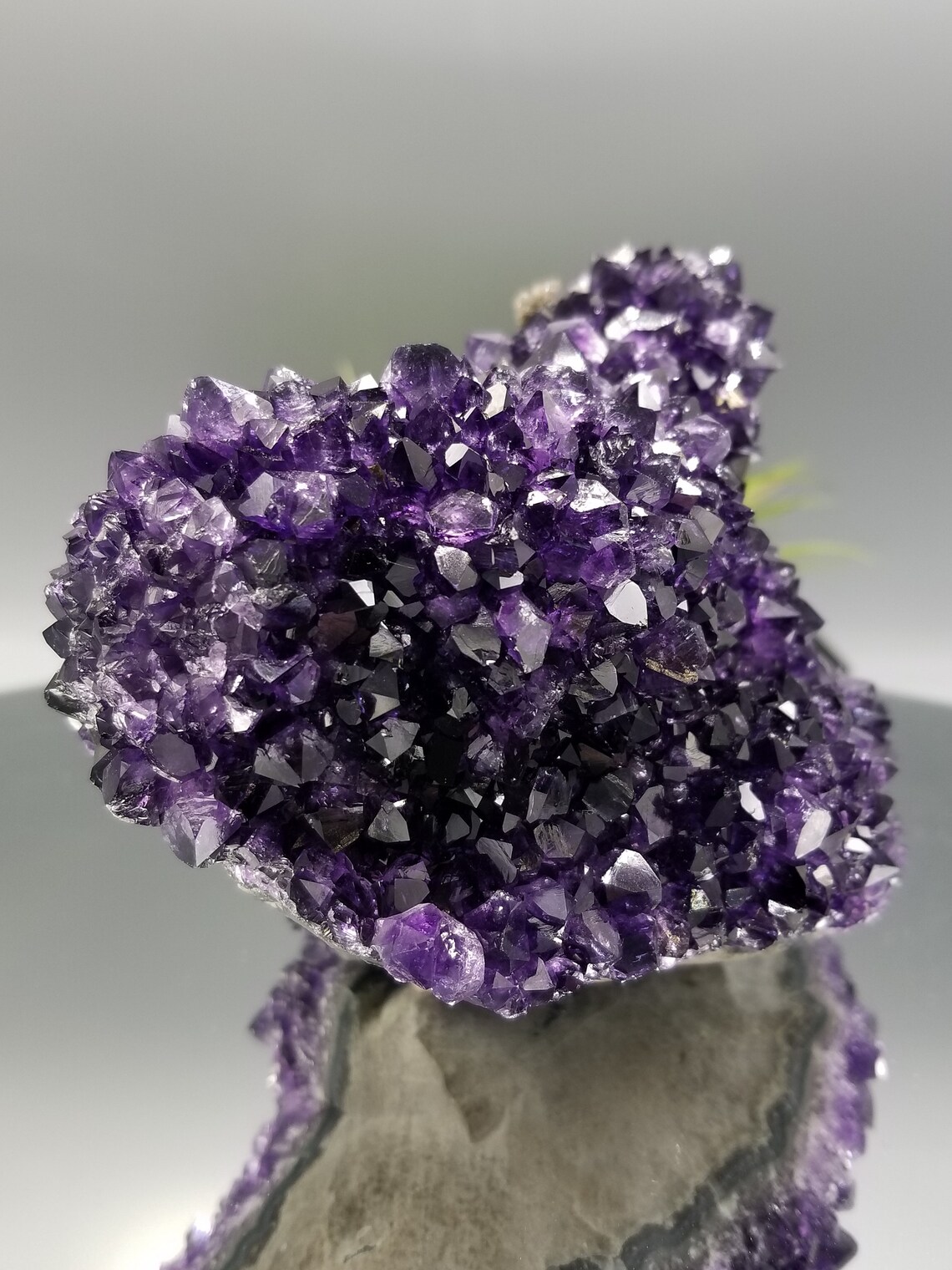 Gorgeous XXL AA Quality Uruguayan Grape Jelly Amethyst Rosette ...
