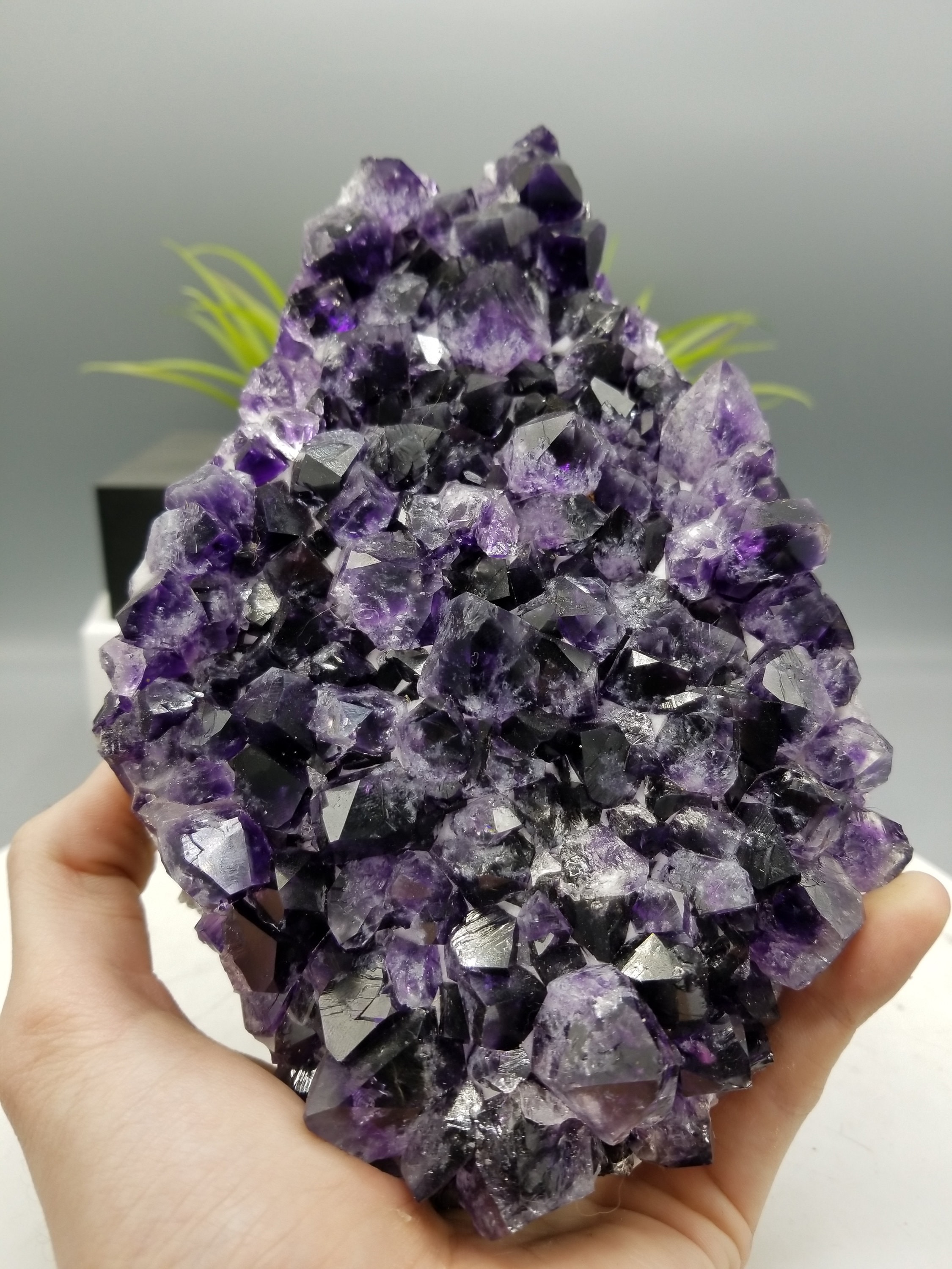 XL 7 Extra AA Quality Amethyst Cluster Formation w/ | Etsy