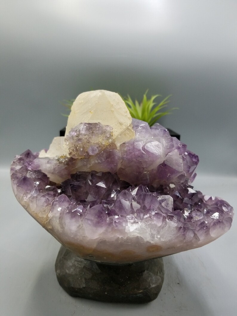 Featured From 2019 Denver Gem Show!! Rare Amethyst Pseudomorph Calcite ...