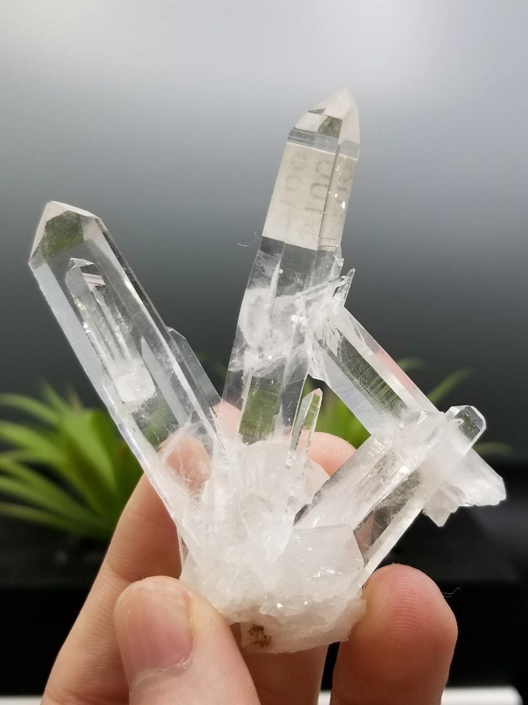 World Class 3" Optical Quartz Formation From Penas Blancas Mine ...