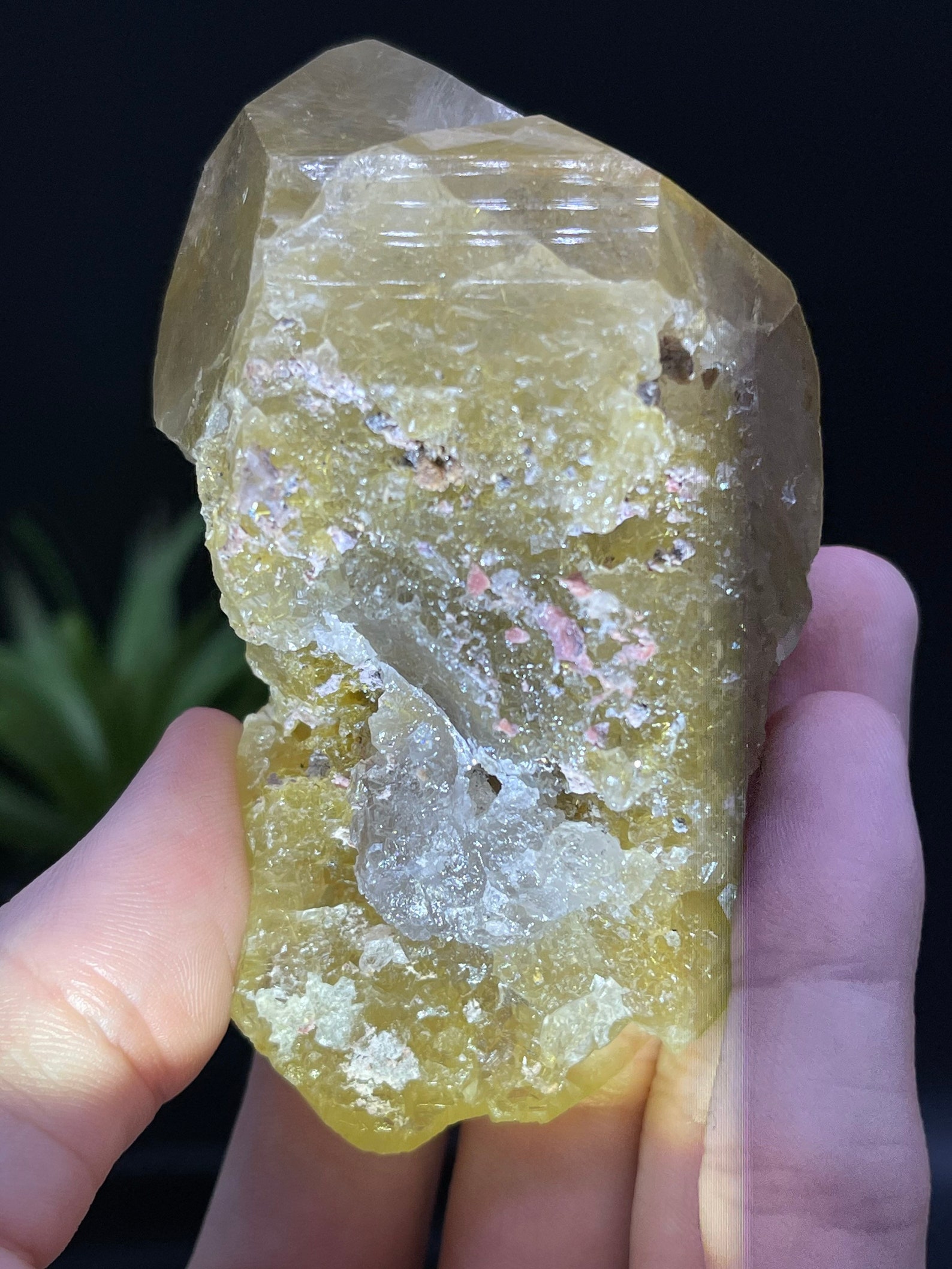 Rare, World Class 3.5" Quartz Infused W/ Vibrant Rutile & Spectacular ...