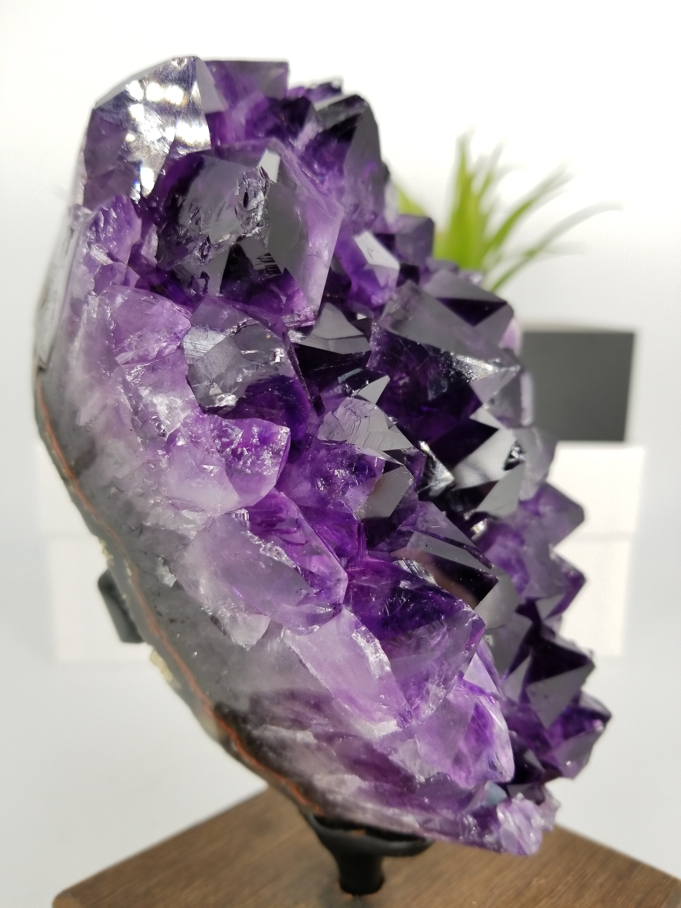 7.5 Tall Super Extra AA Quality Amethyst w/ Wood Base | Etsy