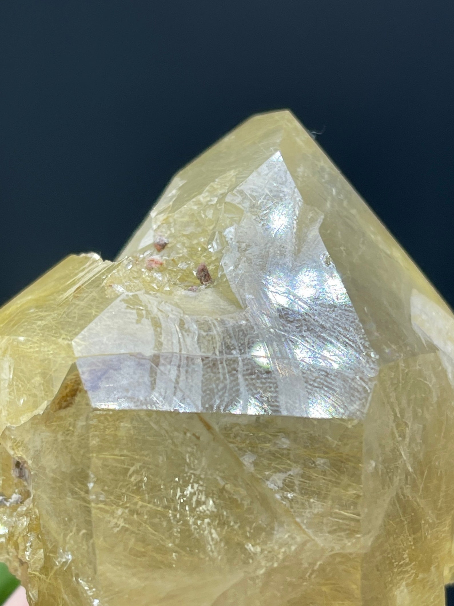 Rare, World Class 3.5" Quartz Infused W/ Vibrant Rutile & Spectacular ...