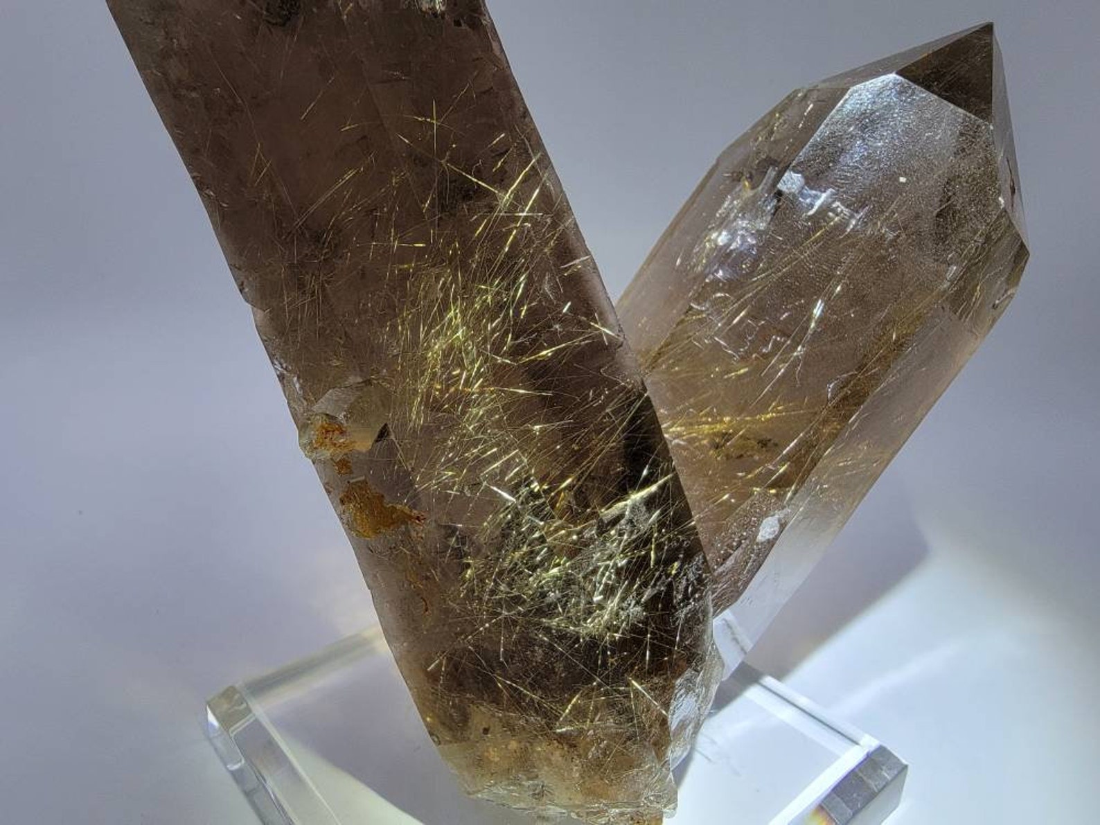 Rare, World Class 6" Quartz Infused W/ Vibrant Rutile, Spectacular ...