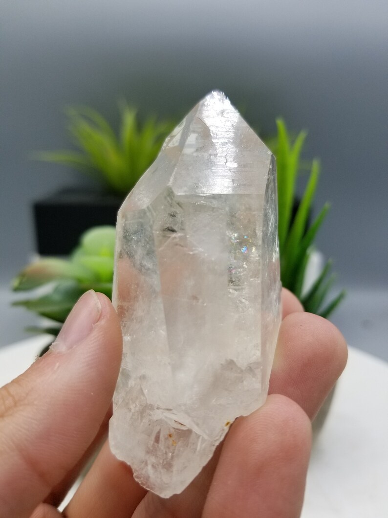 Flawless 2.5" Smokey Elestial Alligator Quartz Thats Damage Free and ...