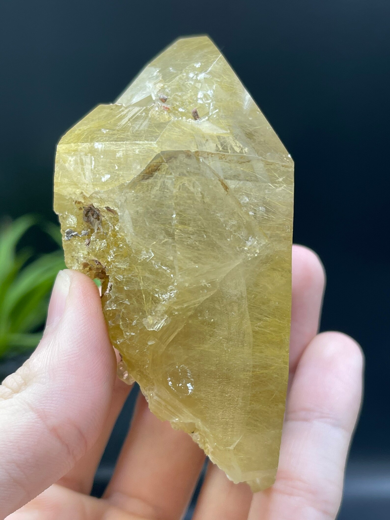 Rare, World Class 3.5" Quartz Infused W/ Vibrant Rutile & Spectacular ...