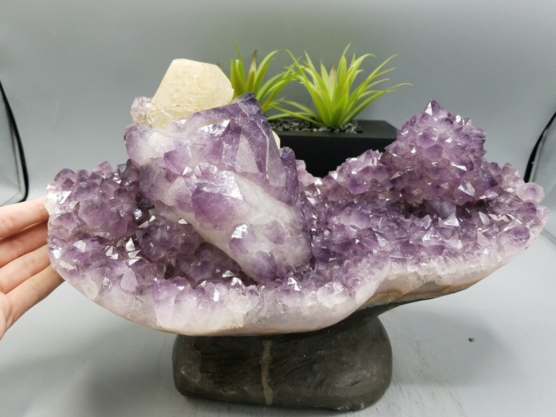 Featured From 2019 Denver Gem Show!! Rare Amethyst Pseudomorph Calcite ...