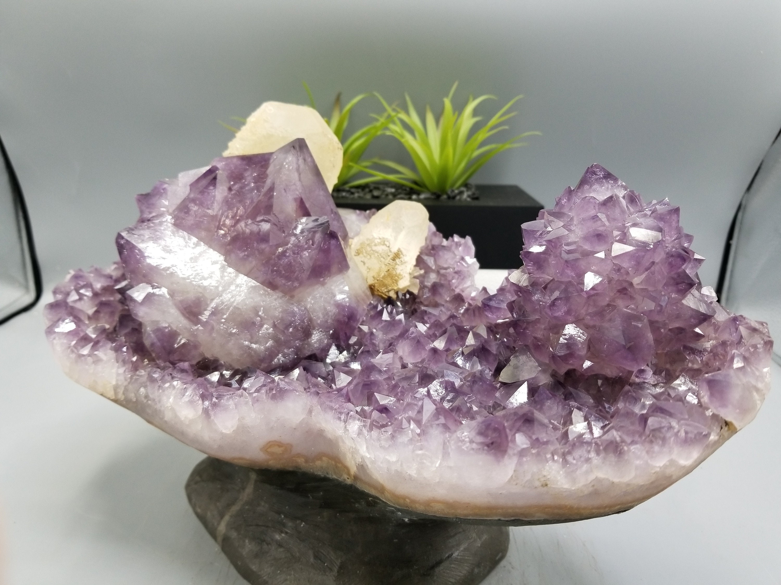 Featured From 2019 Denver Gem Show!! Rare Amethyst Pseudomorph Calcite ...
