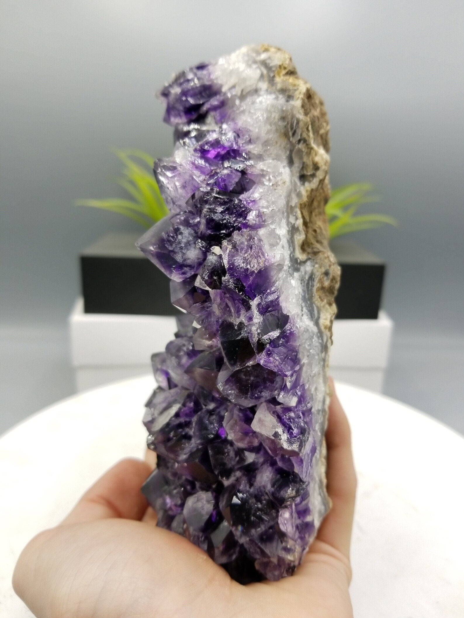 XL 6.5", Extra AA Quality Amethyst Cluster Formation W/ Epic Features ...