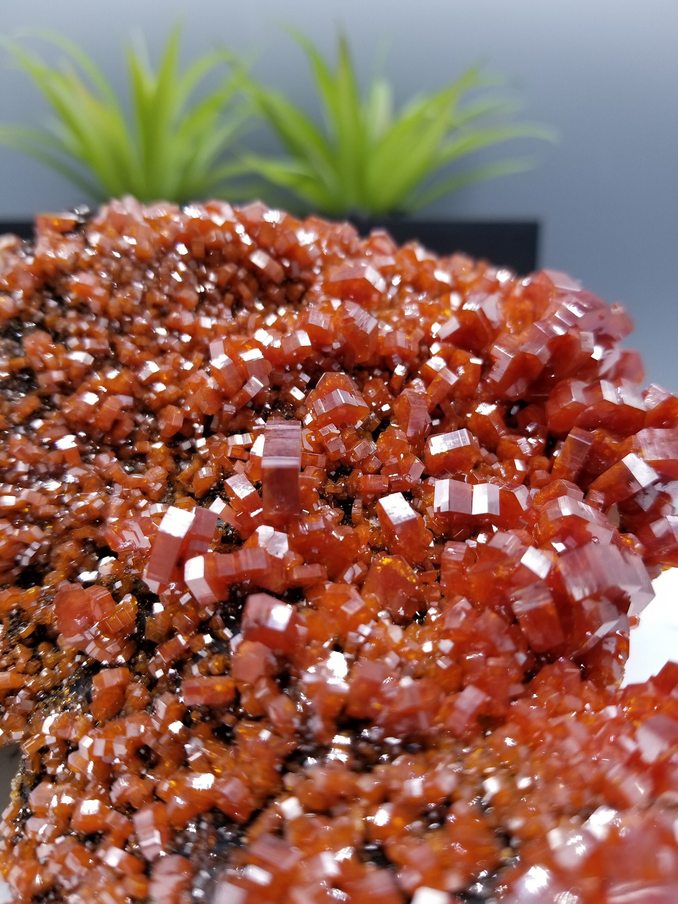 World Class 9.5 Vanadanite From Mibladen Morocco. From | Etsy