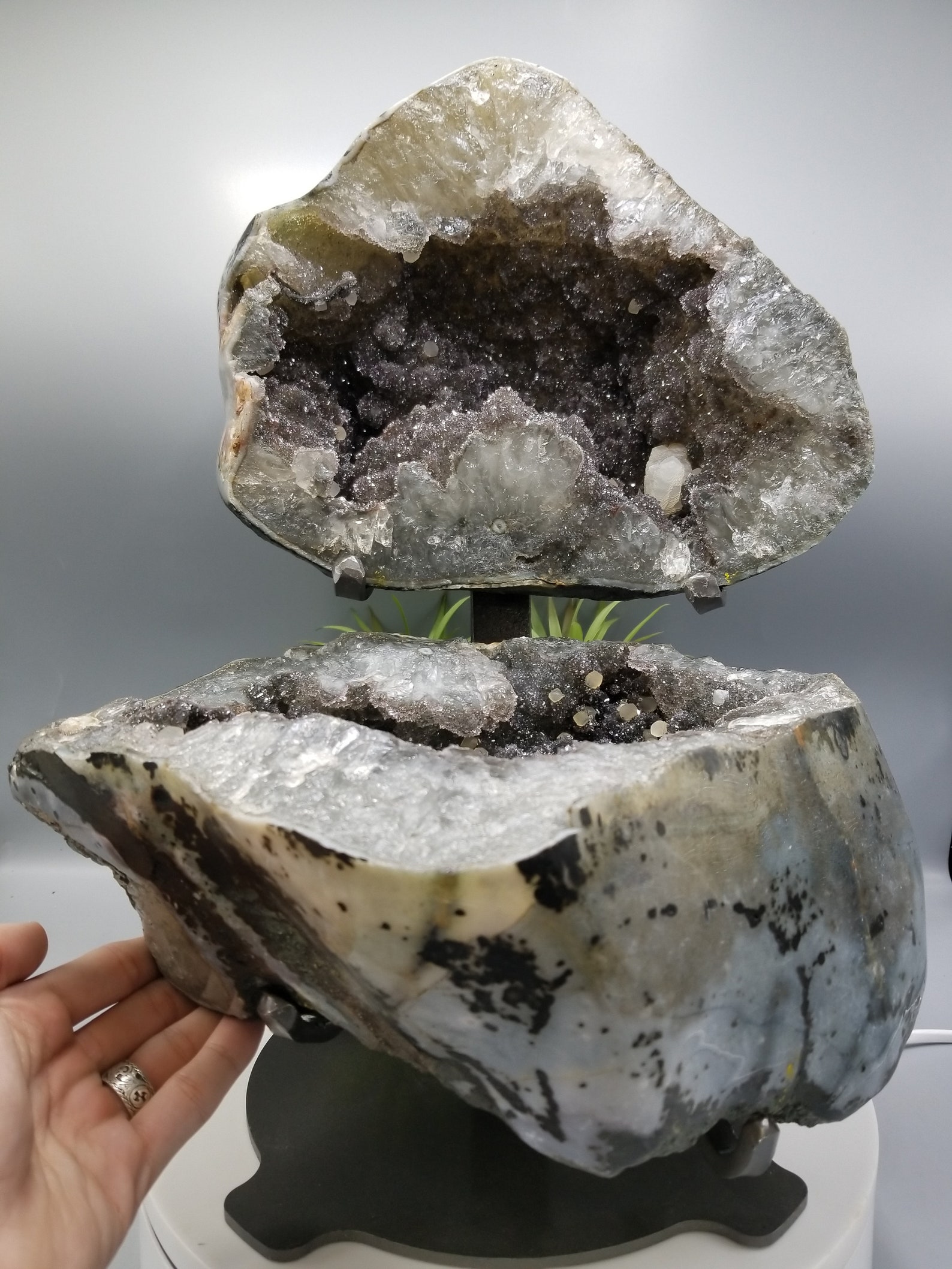 Museum Quality 41lb. Calcite Covered Blk Galaxy Geode Jewelry - Etsy