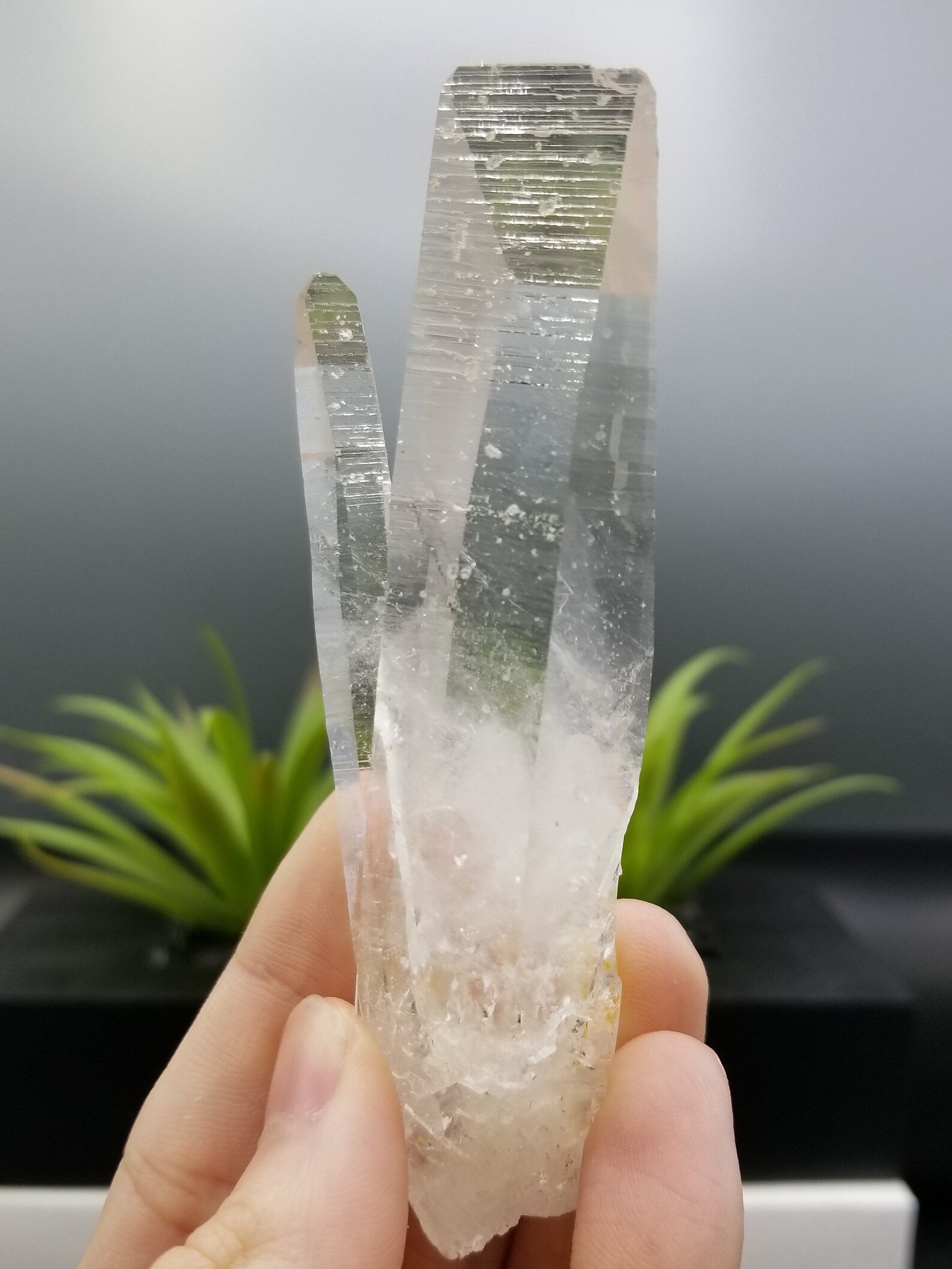 World Class 4" Optical Quartz Formation From Penas Blancas Mine ...