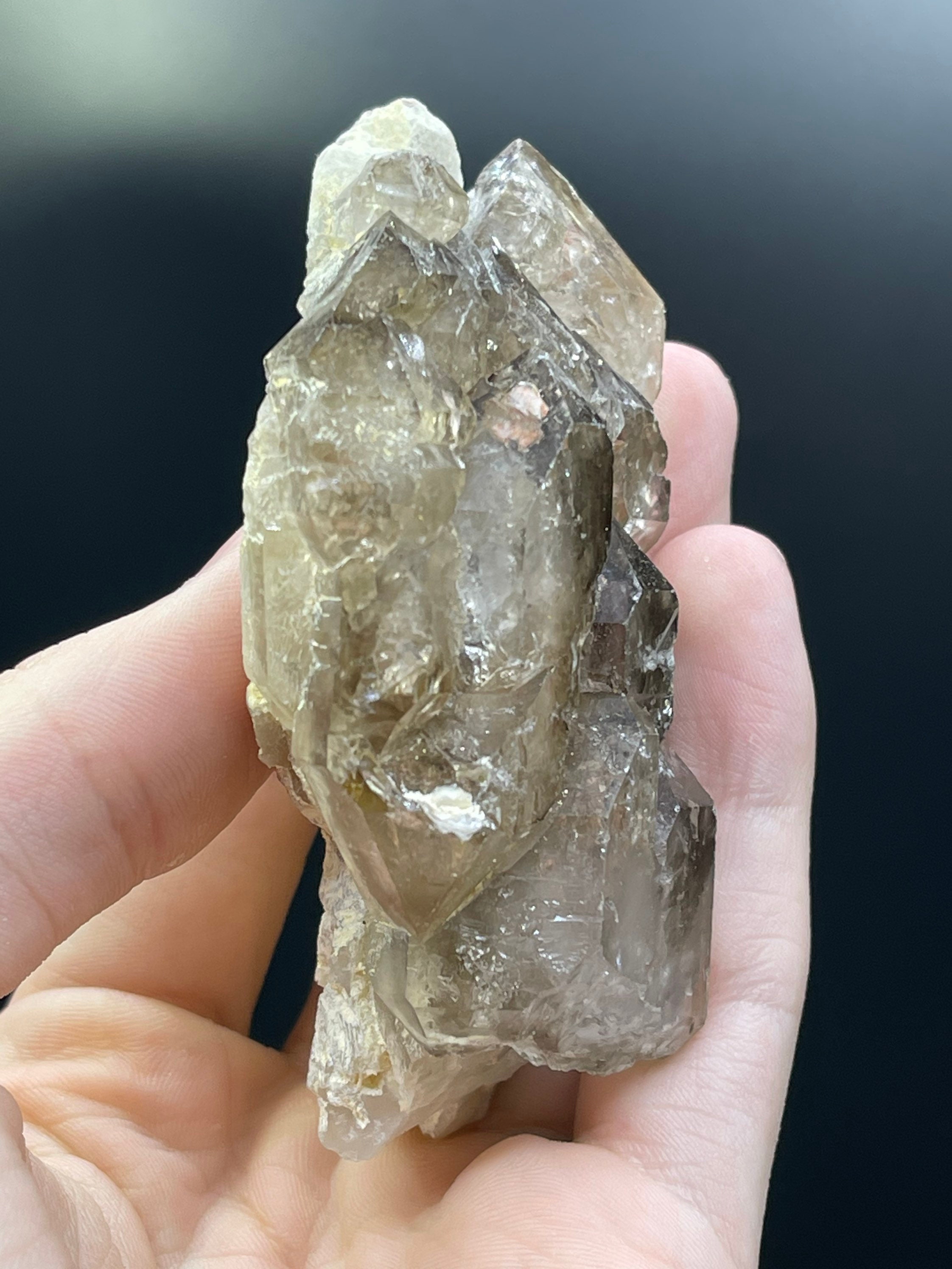 Flawless 3.5" Smokey Elestial Alligator Quartz Thats Damage Free and ...