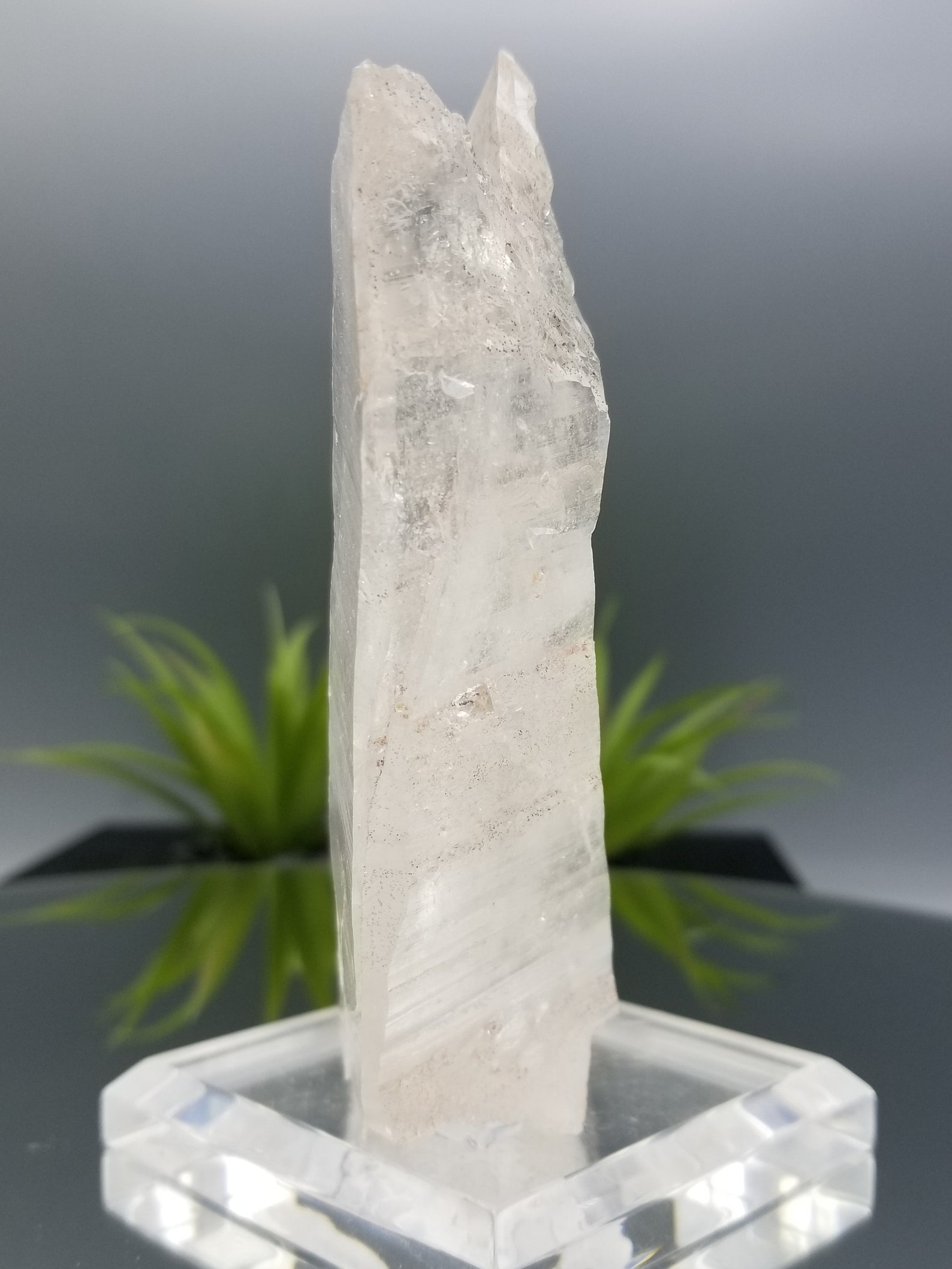 World Class 5" Cathedral Ice Quartz Thats Damage Free, Super Clean With ...