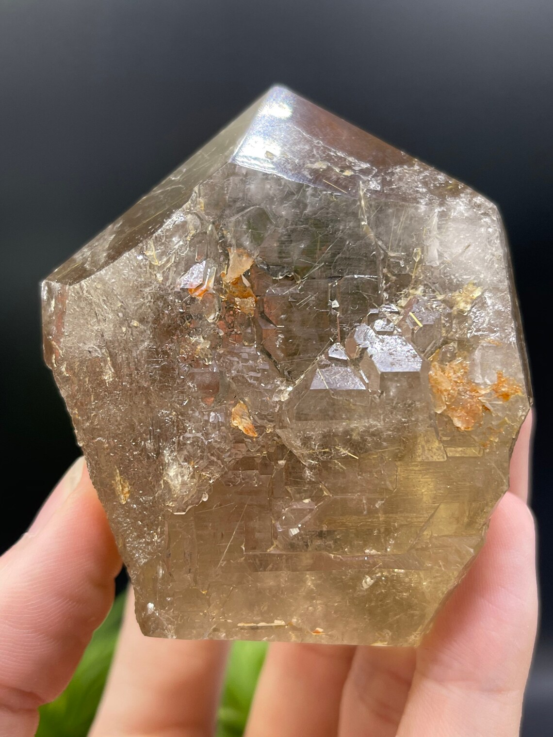 Rare World Class 3 Quartz Infused w/ Vibrant Rutile & | Etsy