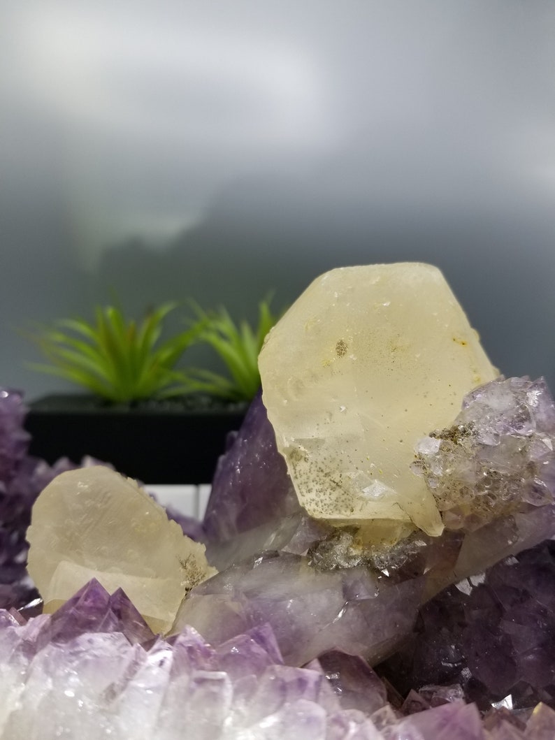 Featured From 2019 Denver Gem Show Rare Amethyst Pseudomorph | Etsy