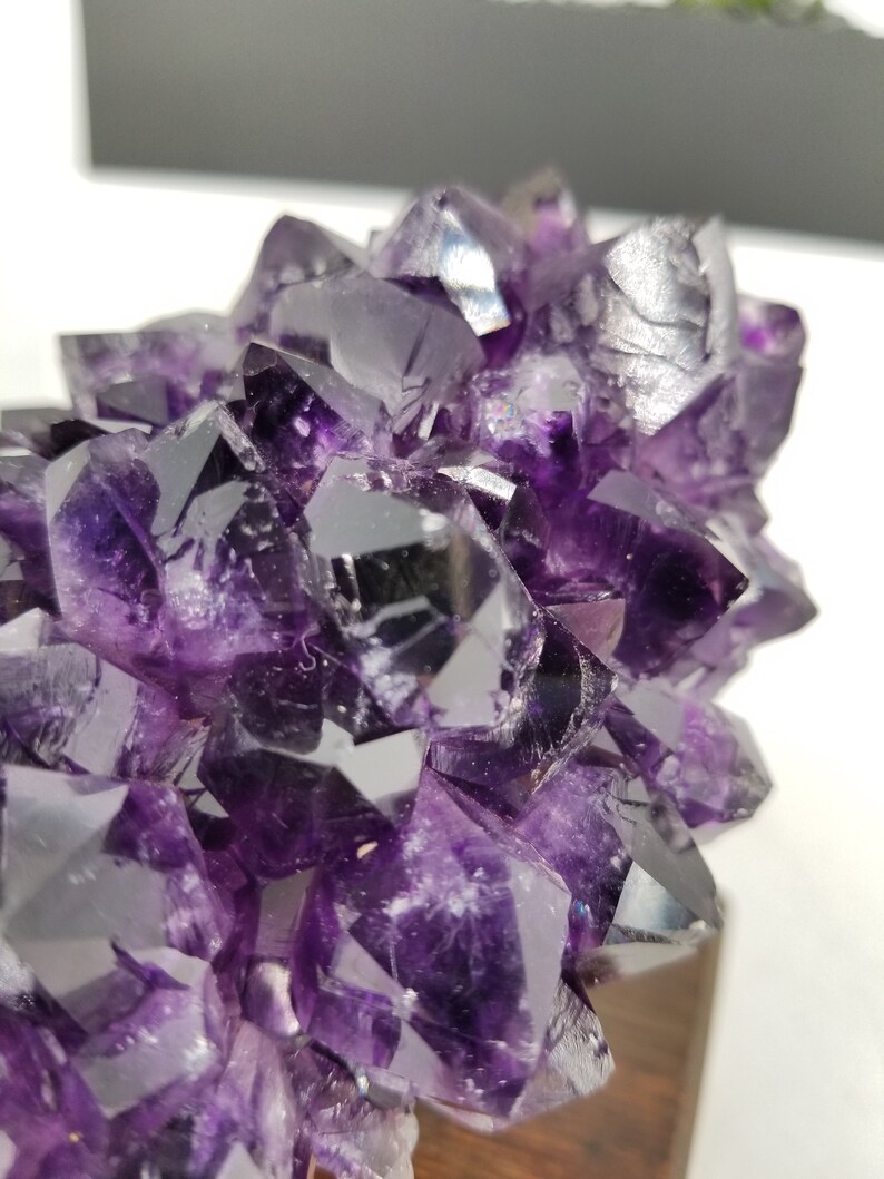 XL 1.1lb. Super Extra AA Quality Amethyst Rosette W/ Wood Base, Las ...