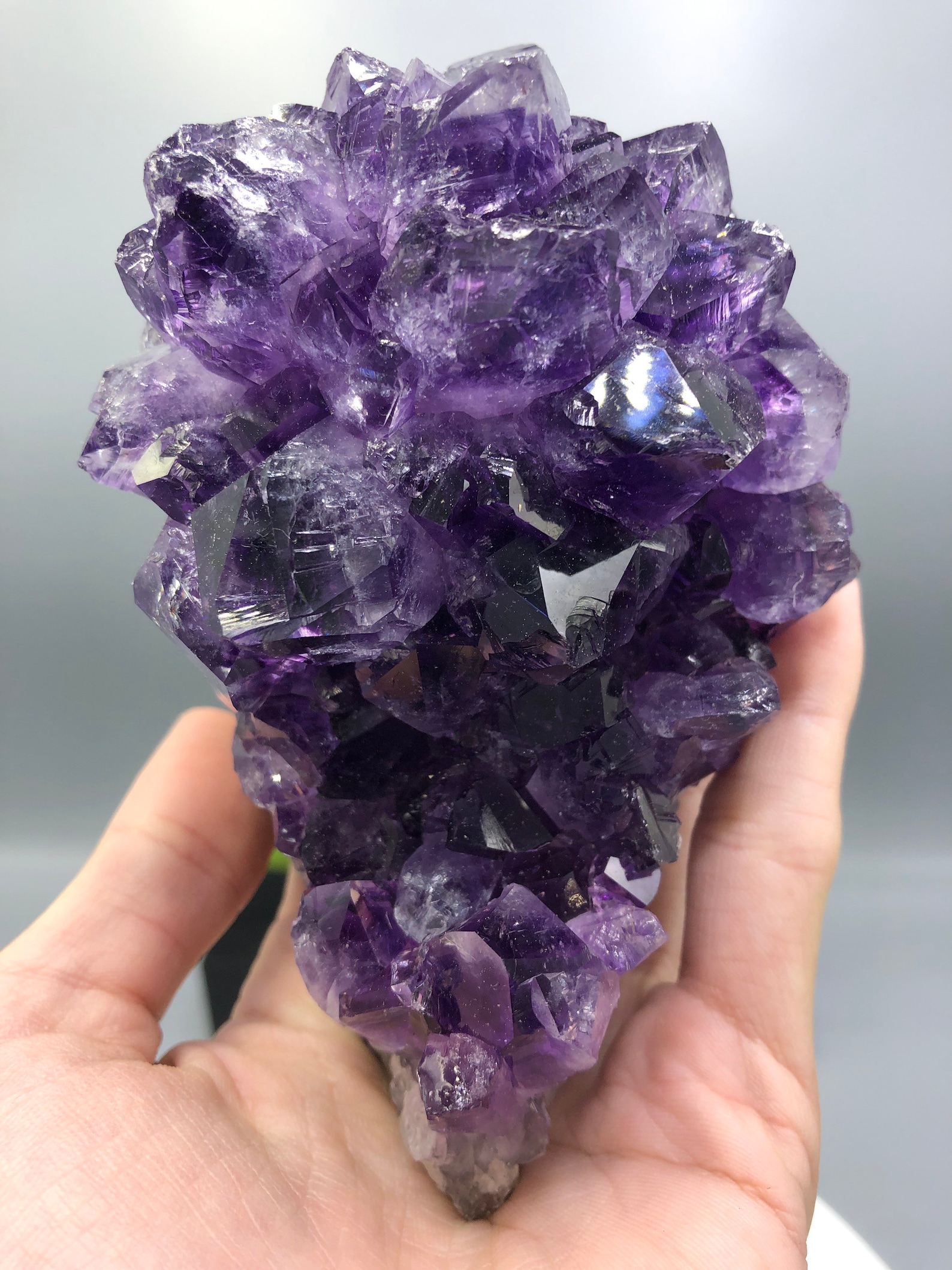 Gorgeous 5.5" Super AA Quality Amethyst Rosette Flower Formation W ...