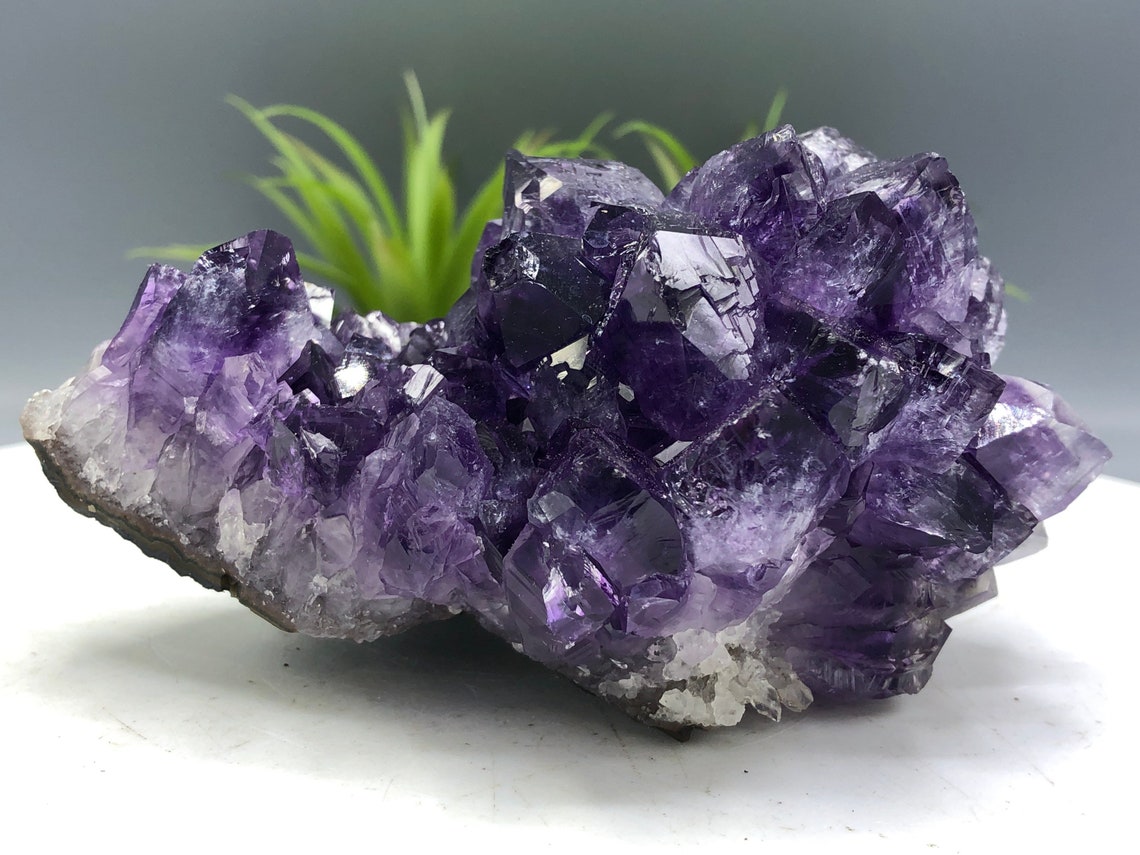 Gorgeous 5.5" Super AA Quality Amethyst Rosette Flower Formation W ...