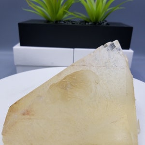 Unreal 5.5" Alien Quartz/amethyst Formation W/ Triple Terminated ...