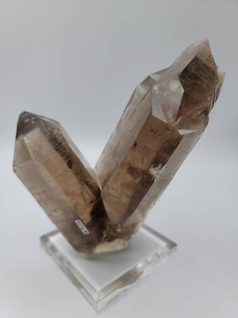 Rare, World Class 6" Quartz Infused W/ Vibrant Rutile, Spectacular ...