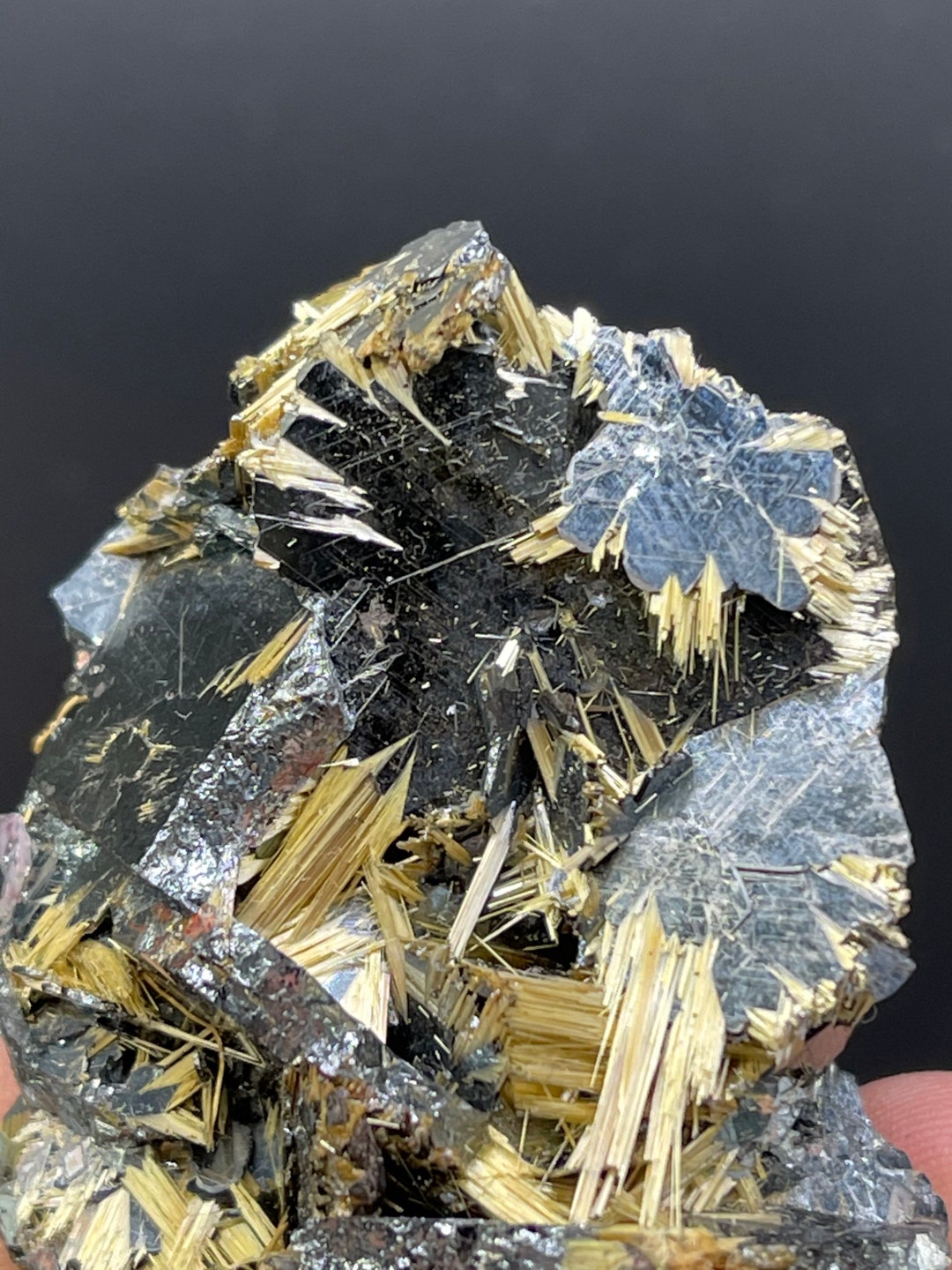 Rare, World Class 2" Terminated Hematite Infused W/ Vibrant Rutile ...
