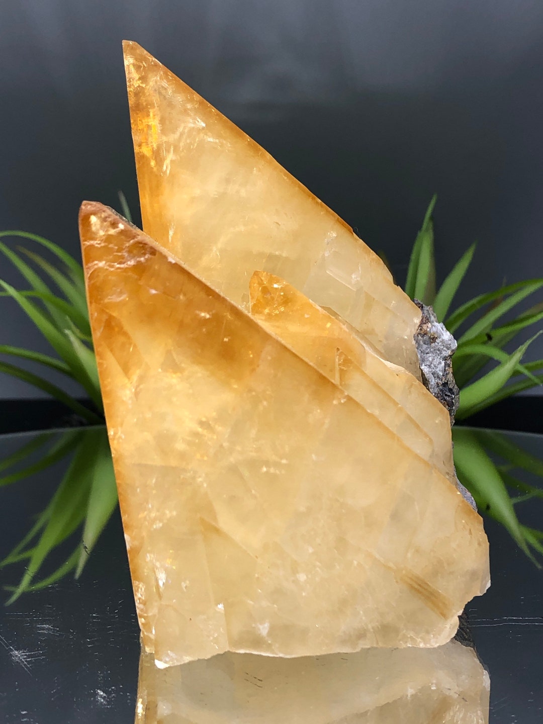 World Class New Find 3/20. Absolutely Gorgeous 5" Elmwood Mine Calcite ...