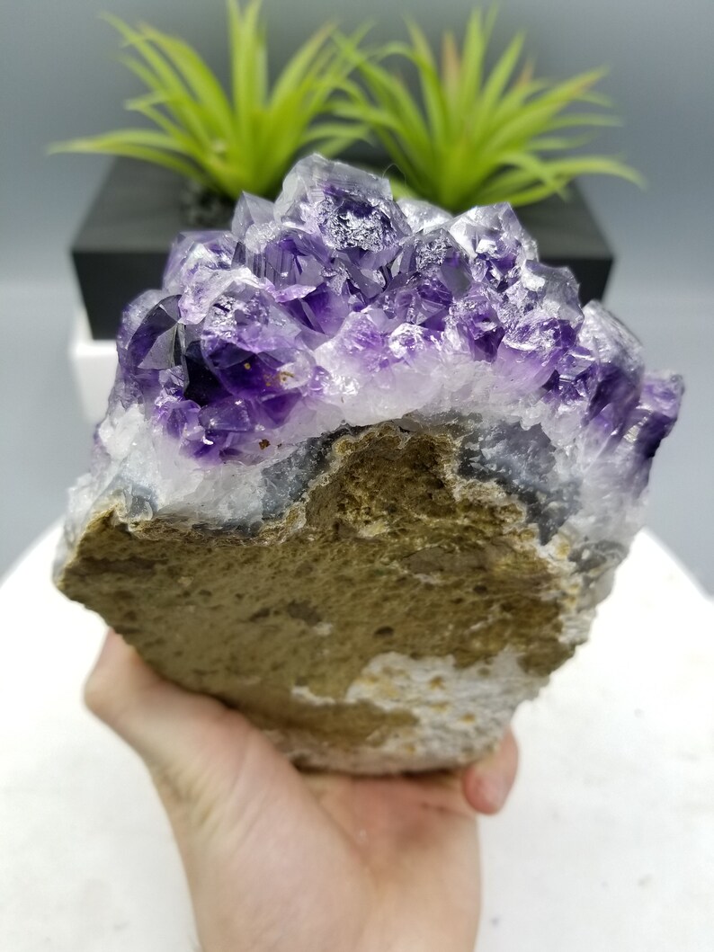 XL 7", Extra AA Quality Amethyst Cluster Formation W/ Epic Features ...