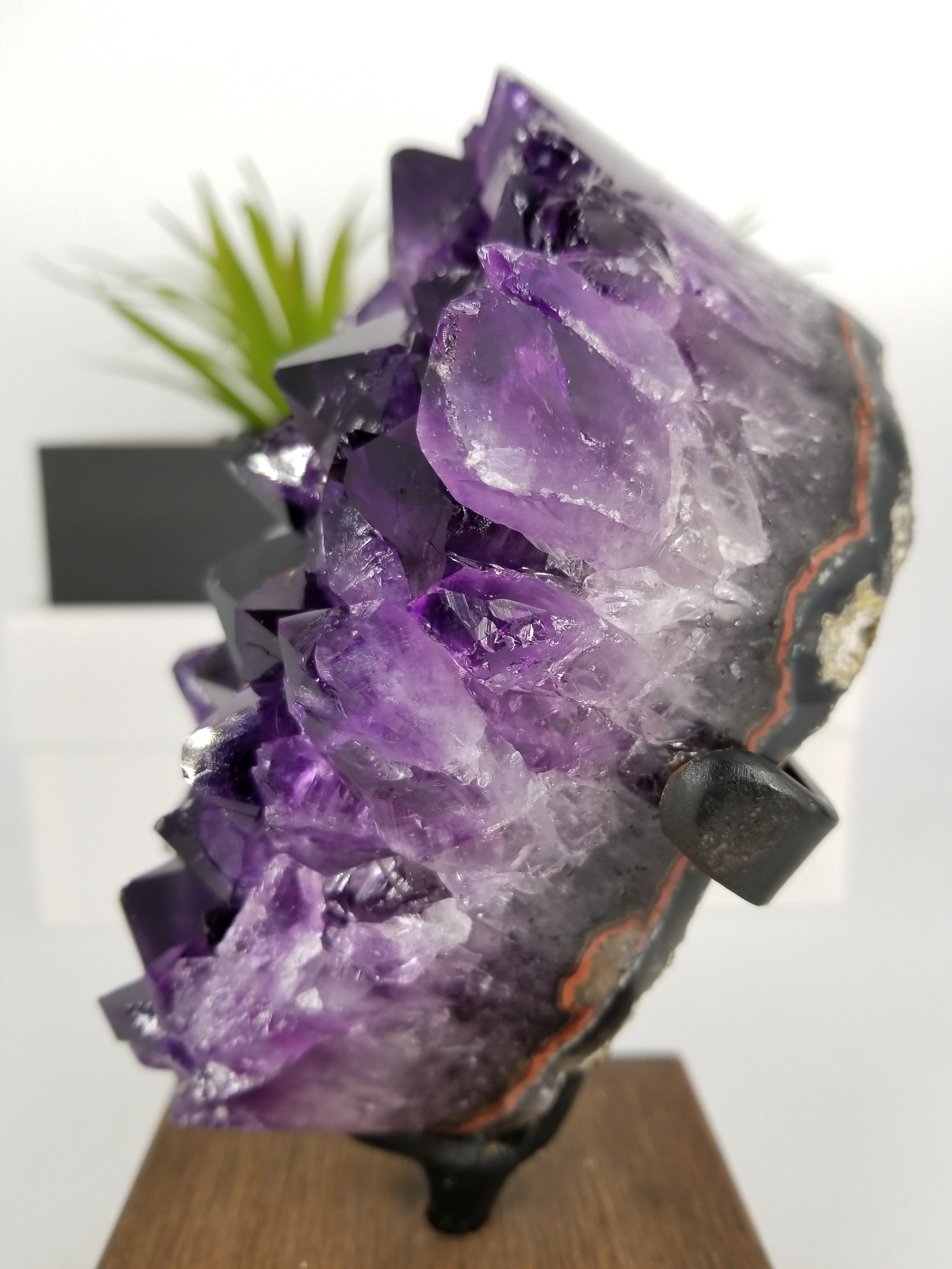 7.5 Tall Super Extra AA Quality Amethyst w/ Wood Base | Etsy