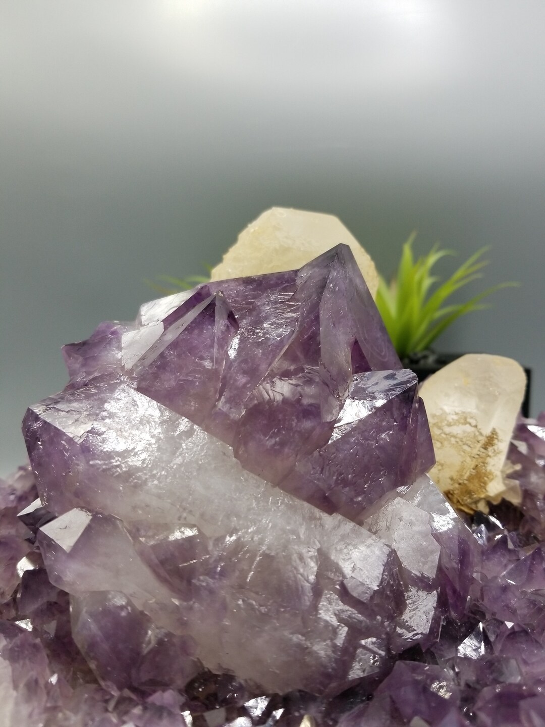 Featured From 2019 Denver Gem Show!! Rare Amethyst Pseudomorph Calcite ...