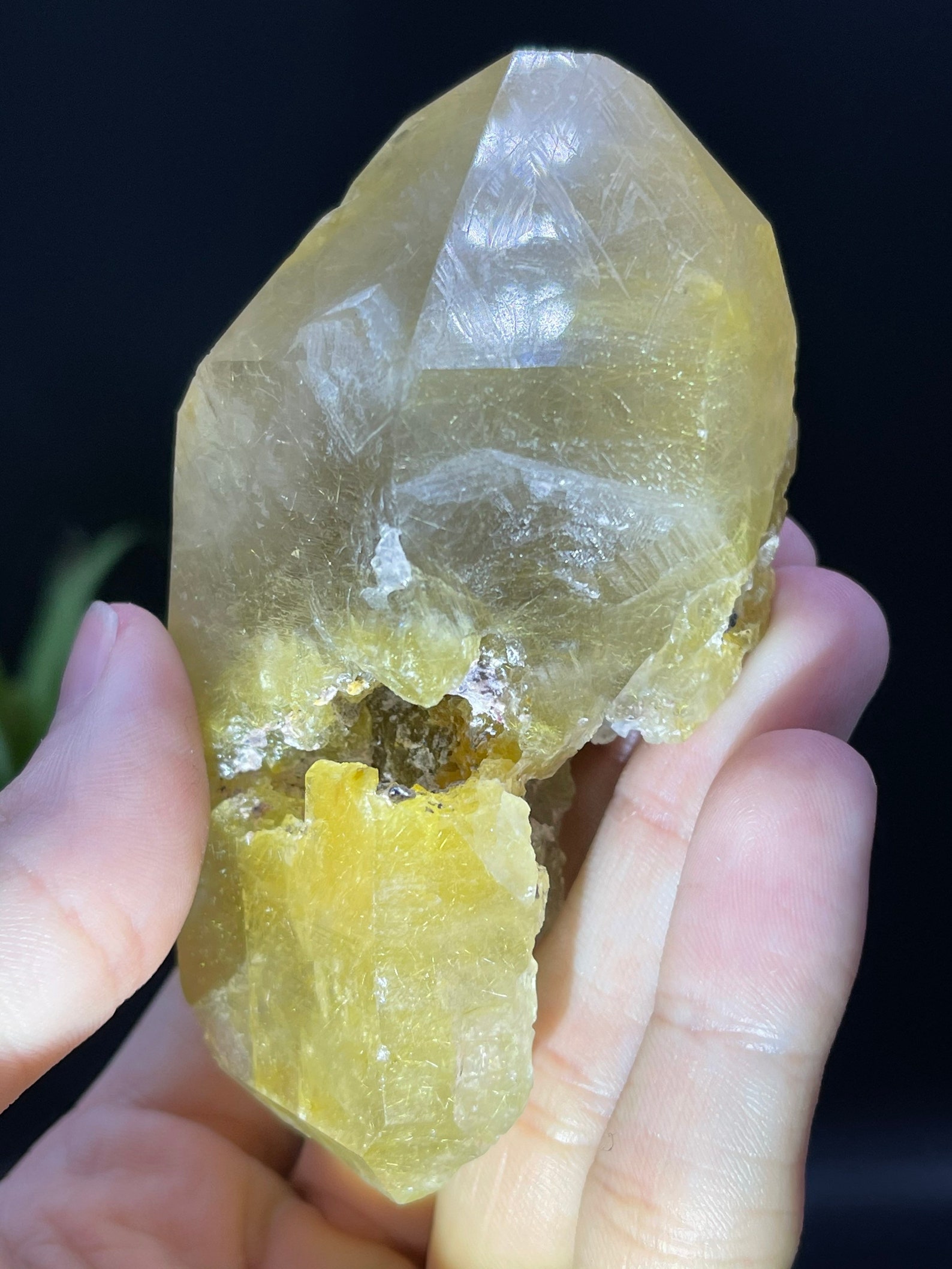 Rare, World Class 3.5" Quartz Infused W/ Vibrant Rutile & Spectacular ...