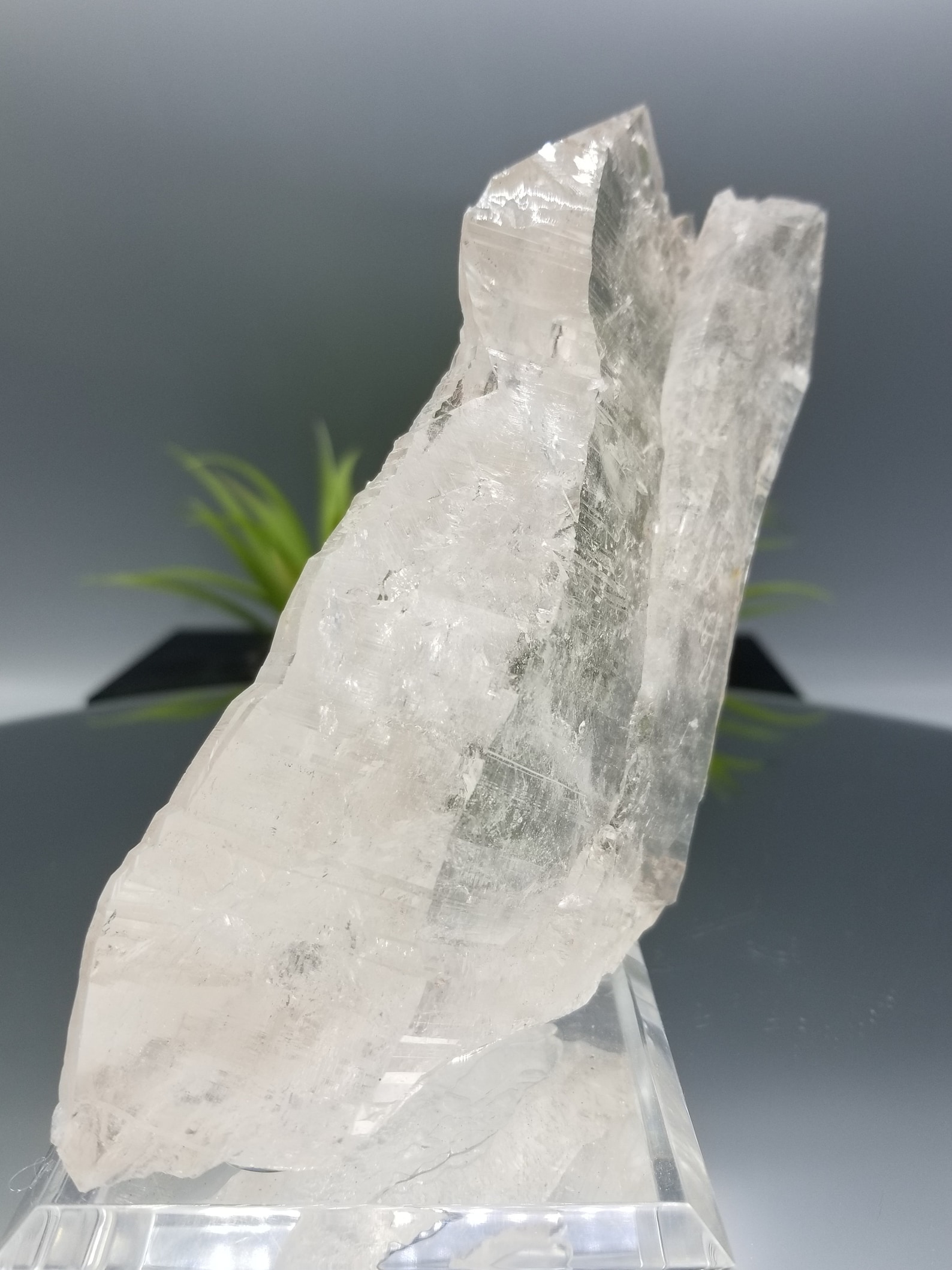 World Class 5" Cathedral Ice Quartz Thats Damage Free, Super Clean With ...