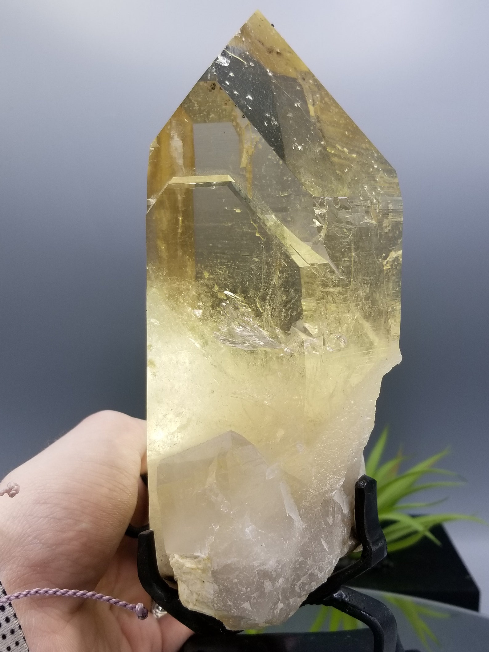 World Class 10" Cathedral Citrine Thats Damage Free, Super Clean With ...
