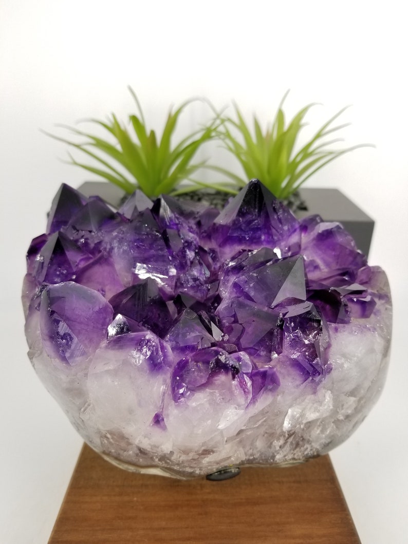 XL 8.8lb. Super Extra AA Quality Amethyst W/ Wood Base, Las Torres Mine ...