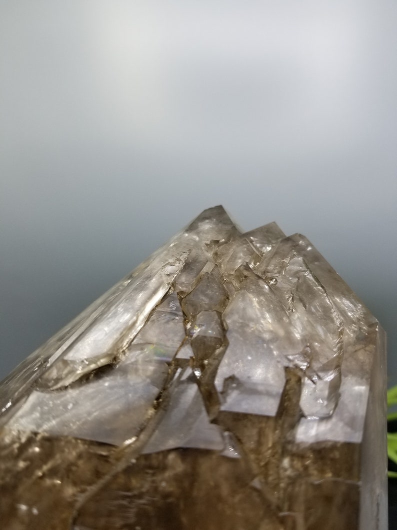 Flawless 6.5" Smokey Elestial Alligator Quartz Thats Damage Free and ...