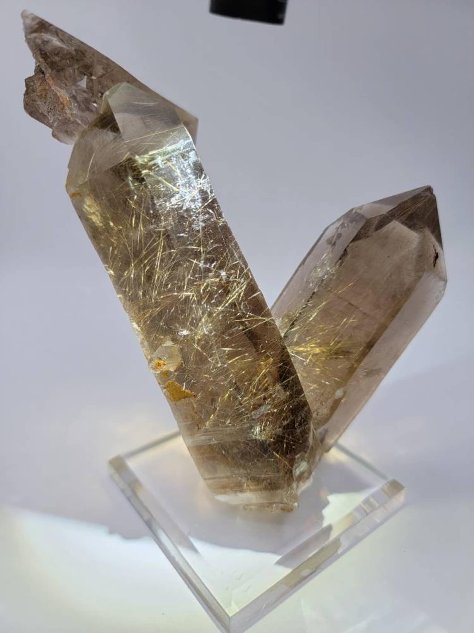 Rare, World Class 6" Quartz Infused W/ Vibrant Rutile, Spectacular ...