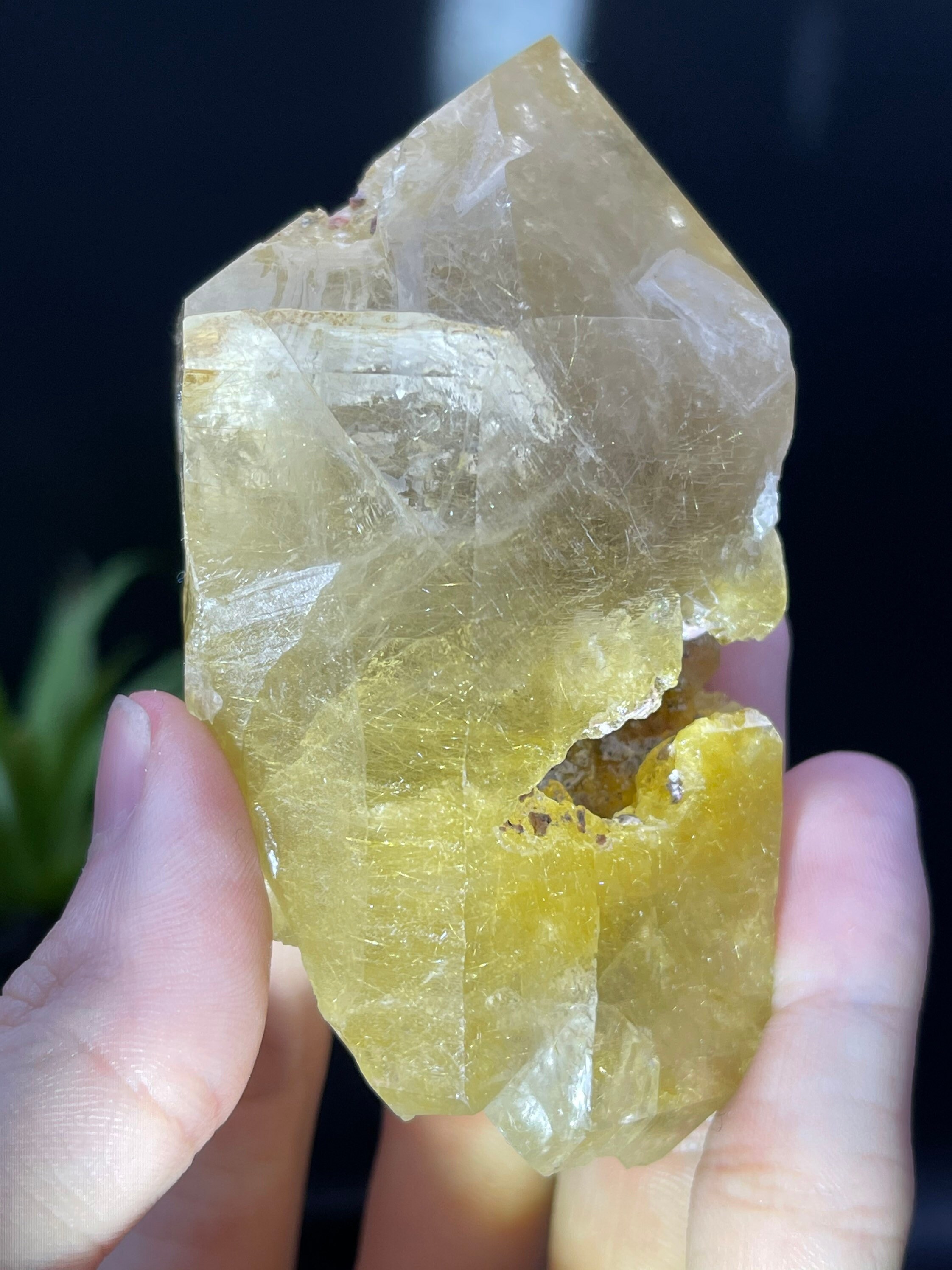 Rare, World Class 3.5" Quartz Infused W/ Vibrant Rutile & Spectacular ...
