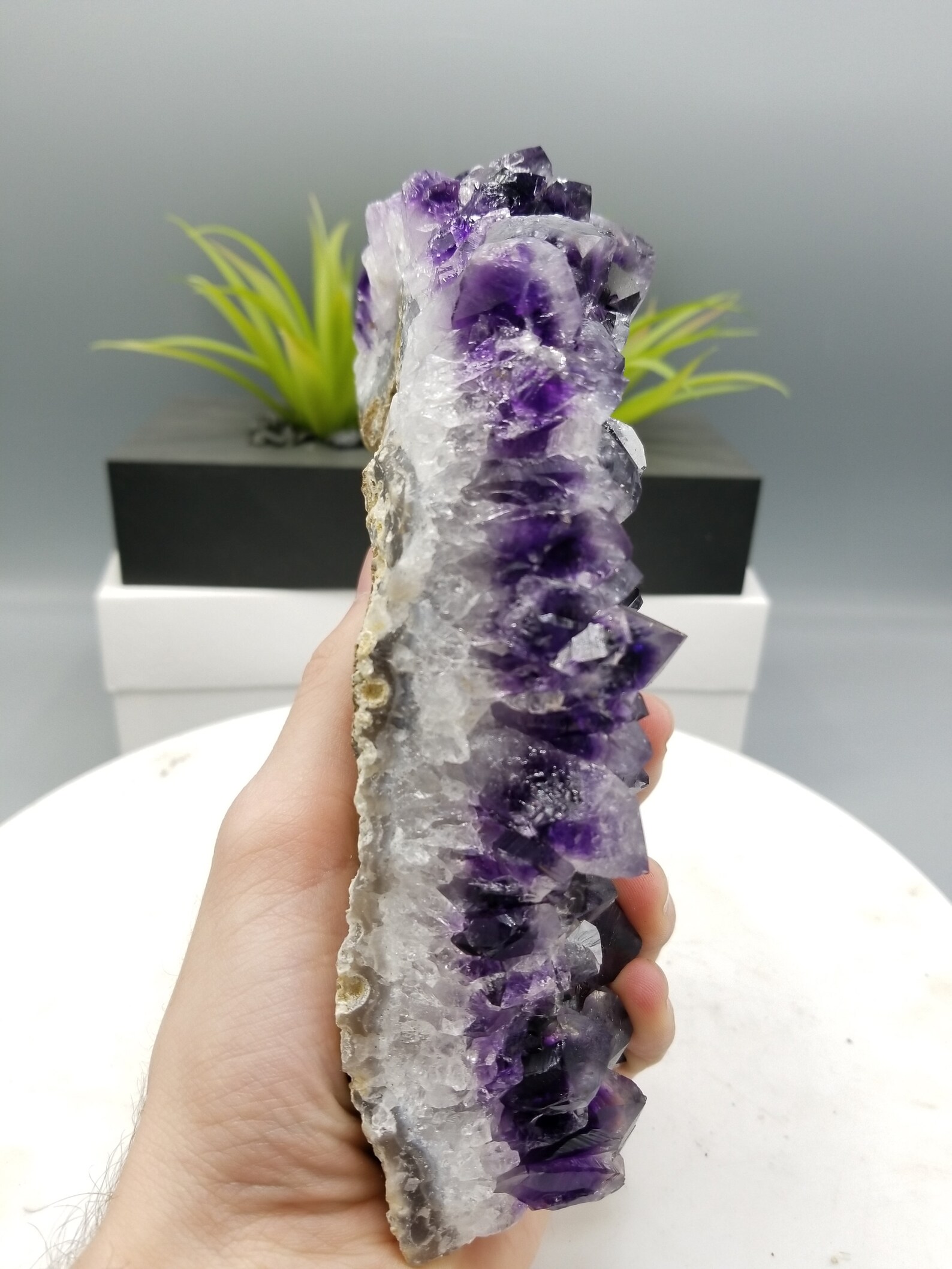 XL 7 Extra AA Quality Amethyst Cluster Formation W/ - Etsy